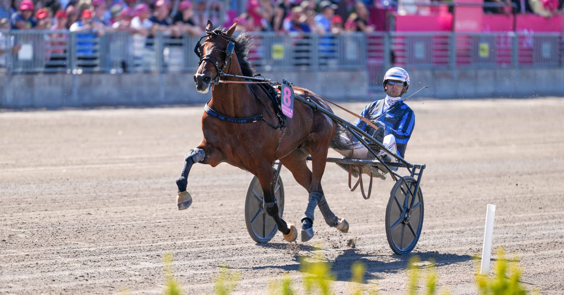 Idao de Tillard gör comeback · Senaste nyheterna om trav · Travronden