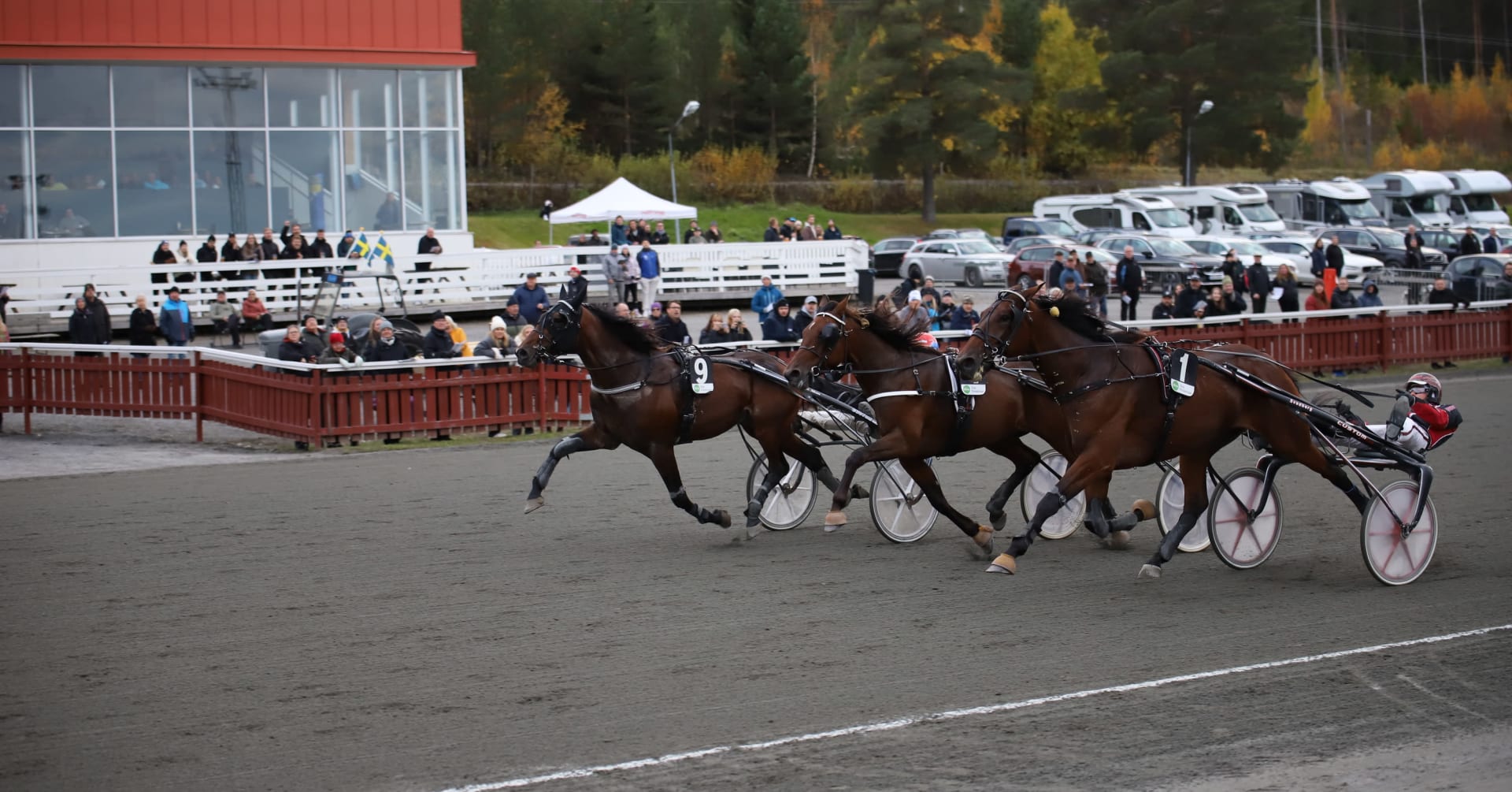 Alla vinnare på V75 Skellefteå · Senaste nyheterna om trav · Travronden