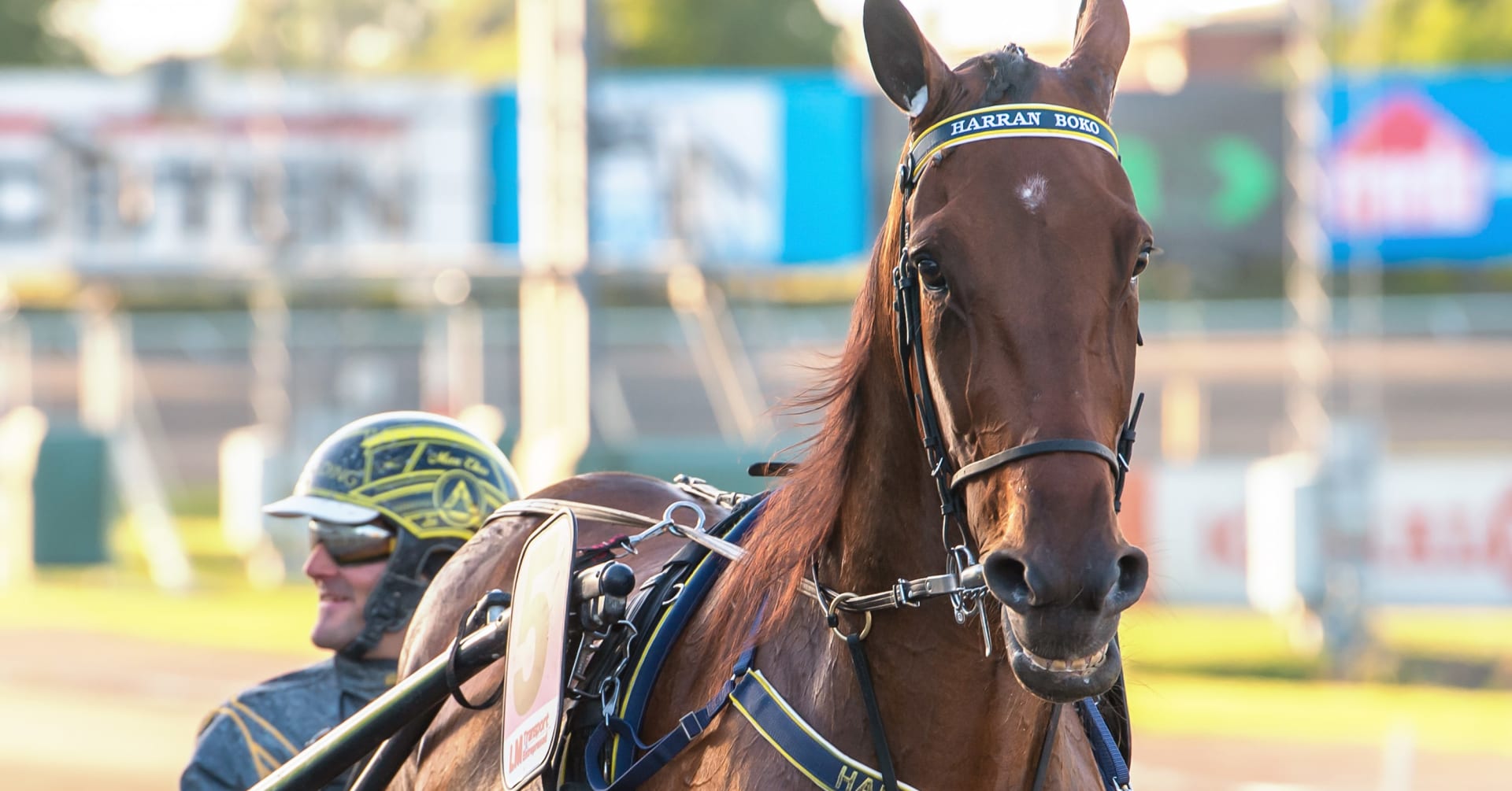 Simon Mitman om Harran Boko inför V86 i Tingsryd · Senaste nyheterna om ...