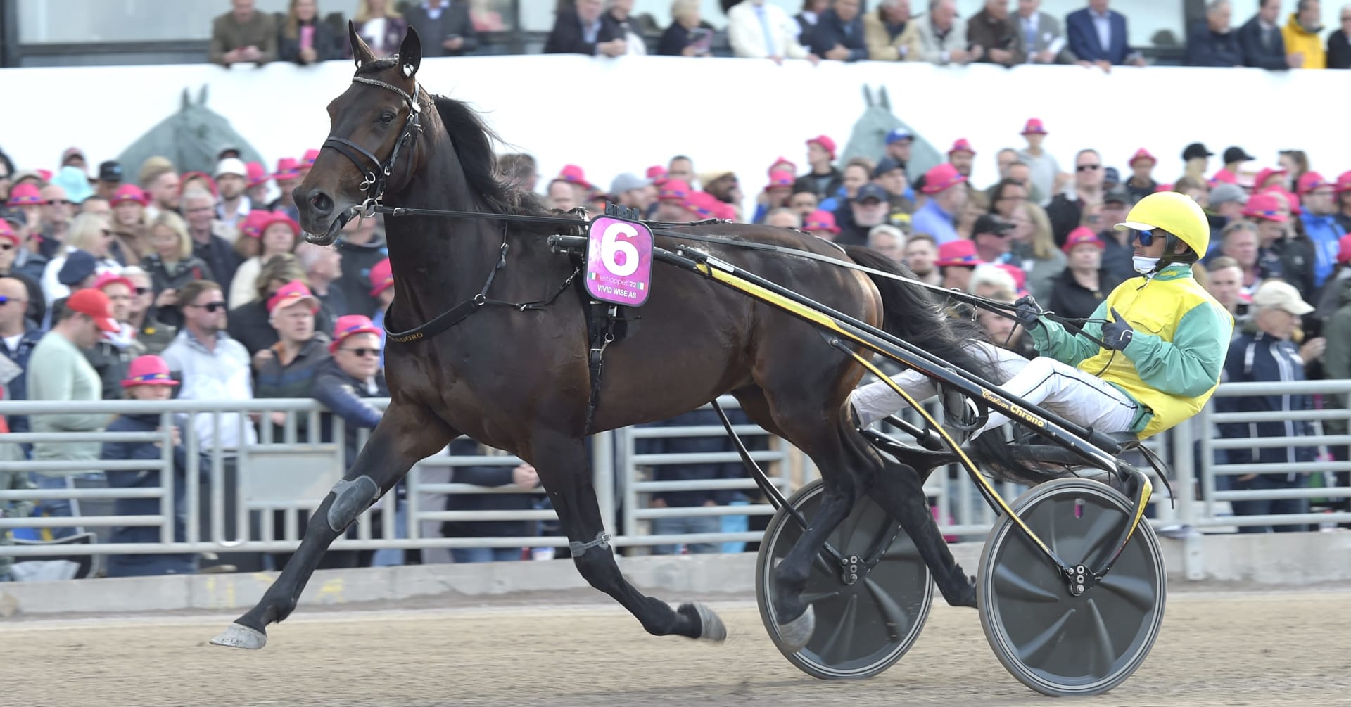 Vivid Wise As missar International Trot · Senaste nyheterna om trav ...