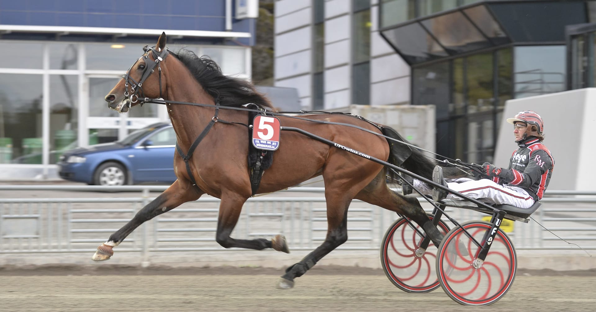 V75 30 år: Största sensationen genom tiderna · Senaste nyheterna om ...