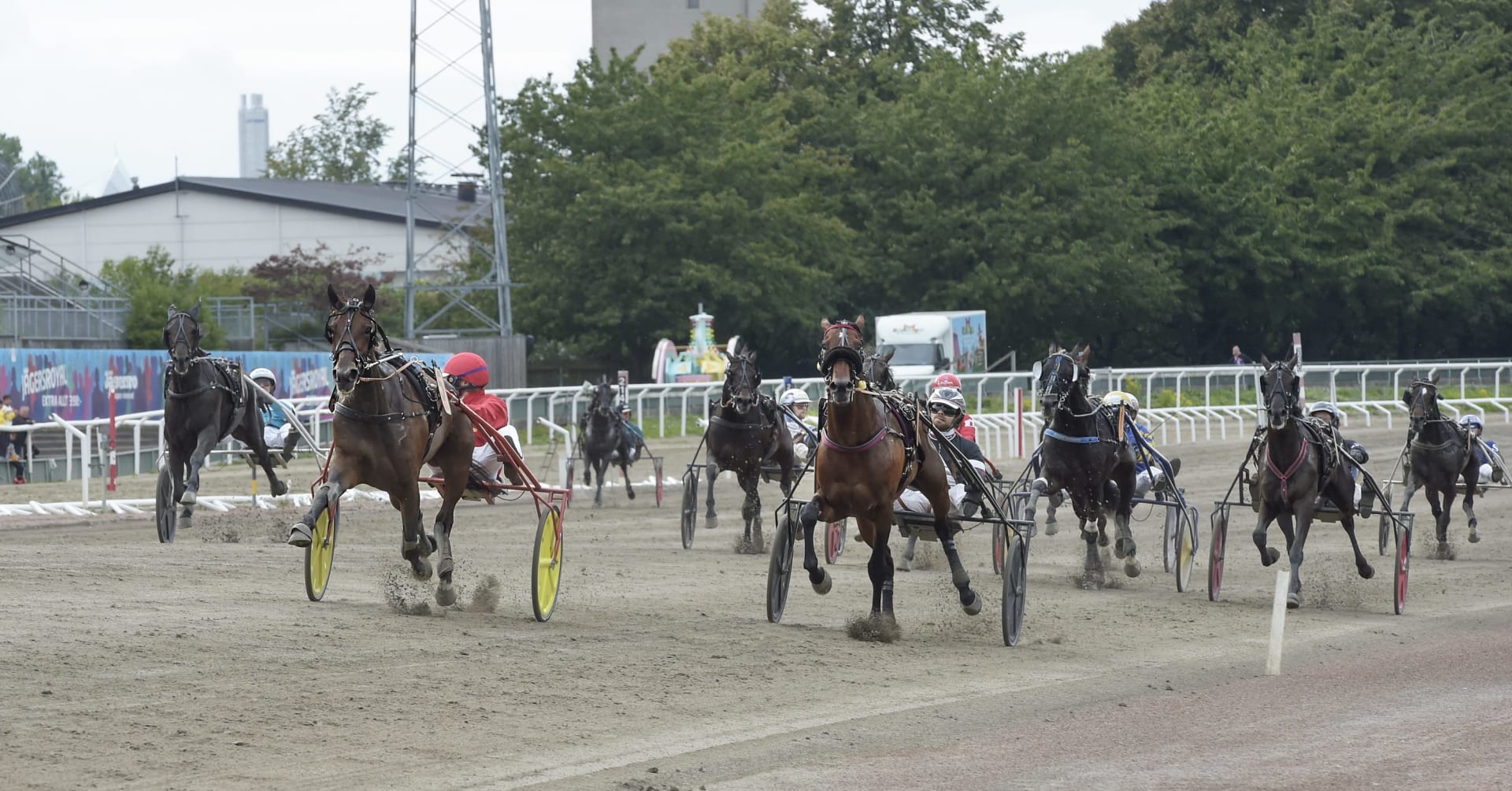 Marcus Melander: ”Otroligt vass i ryggar” · Senaste nyheterna om trav ...