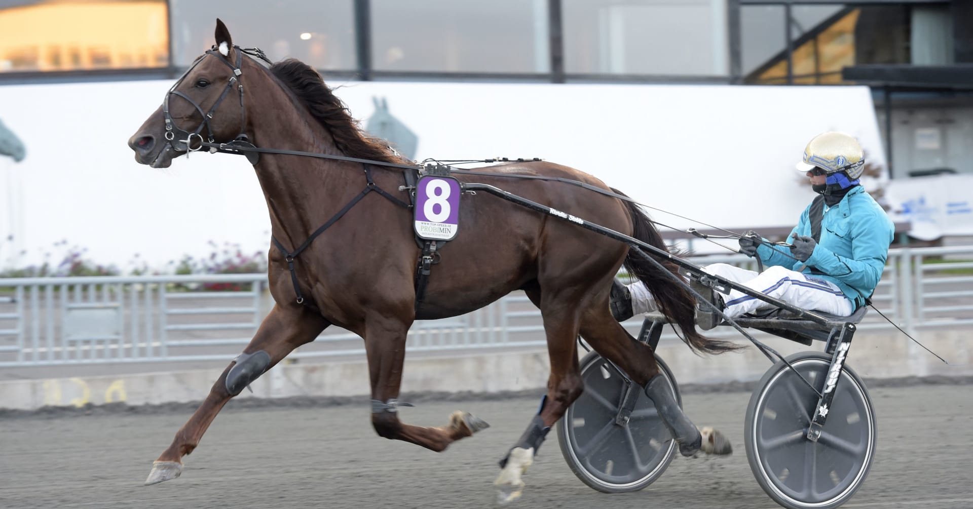 Riordan om planen: ”Kan bli Frankrike till jul” · Senaste nyheterna om ... Riordan om planen: ”Kan bli Frankrike till jul” · Senaste nyheterna om ...