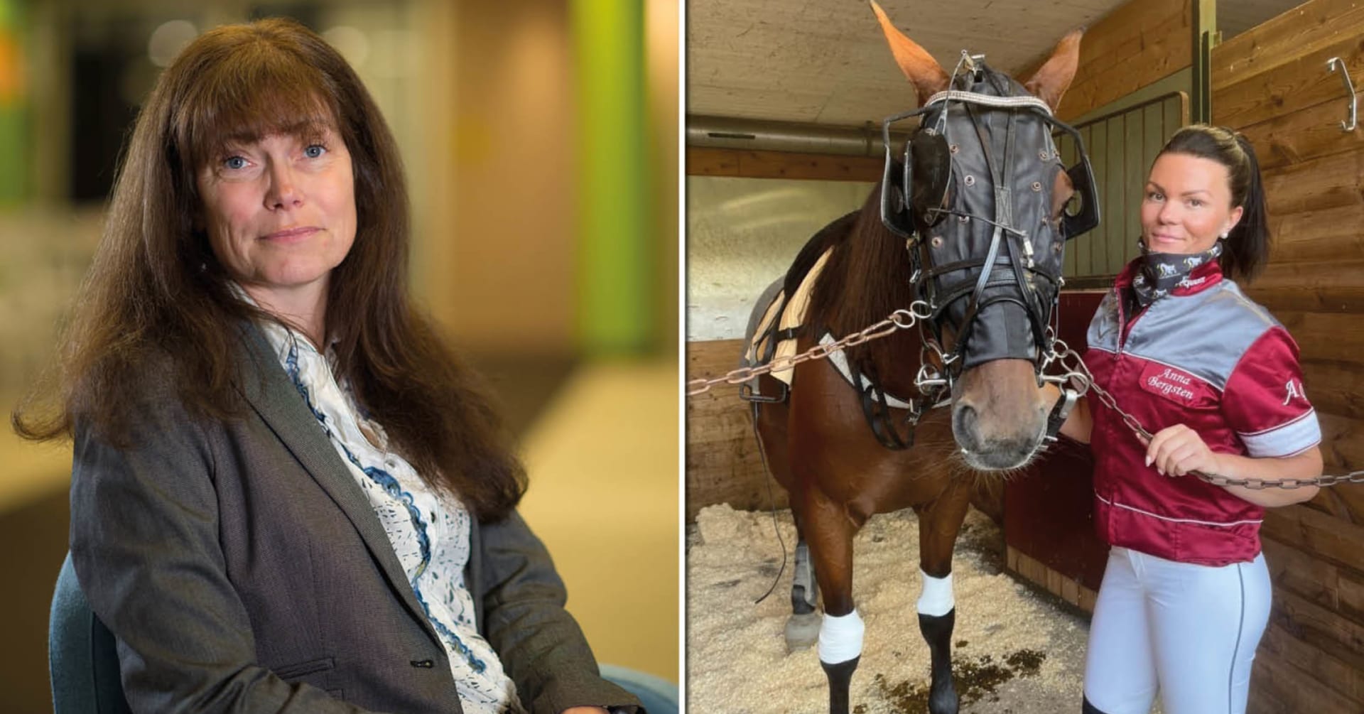 Anna Bergstens frustration runt Dover Sole · Senaste nyheterna om trav ...