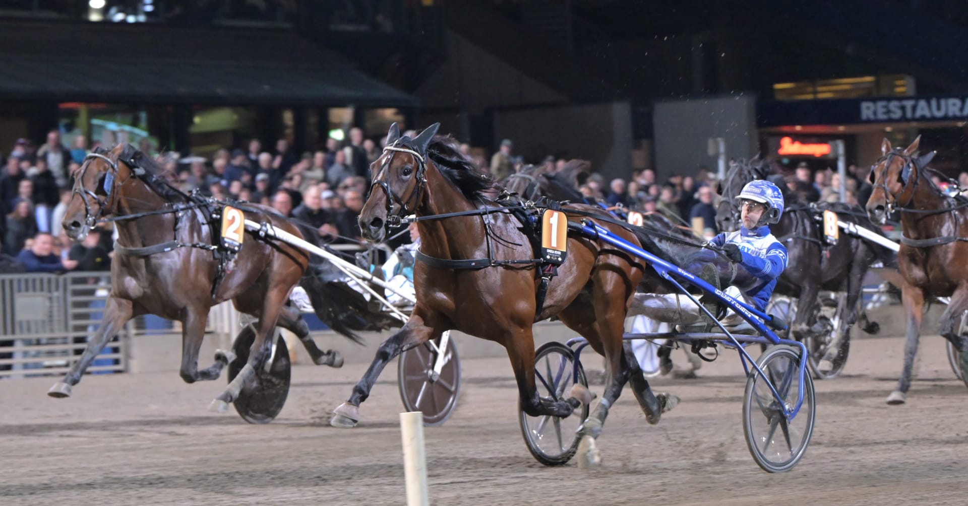 Omega River vann Svenskt Travkriterium · Senaste nyheterna om trav ...