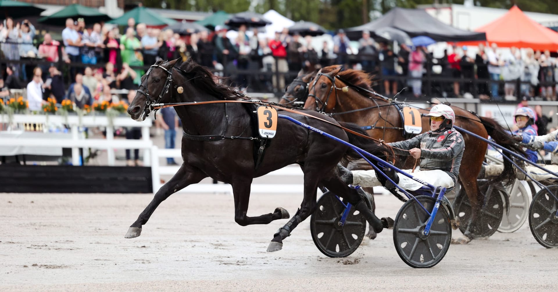 Run For Royalty vann Suur-Hollola · Senaste nyheterna om trav · Travronden