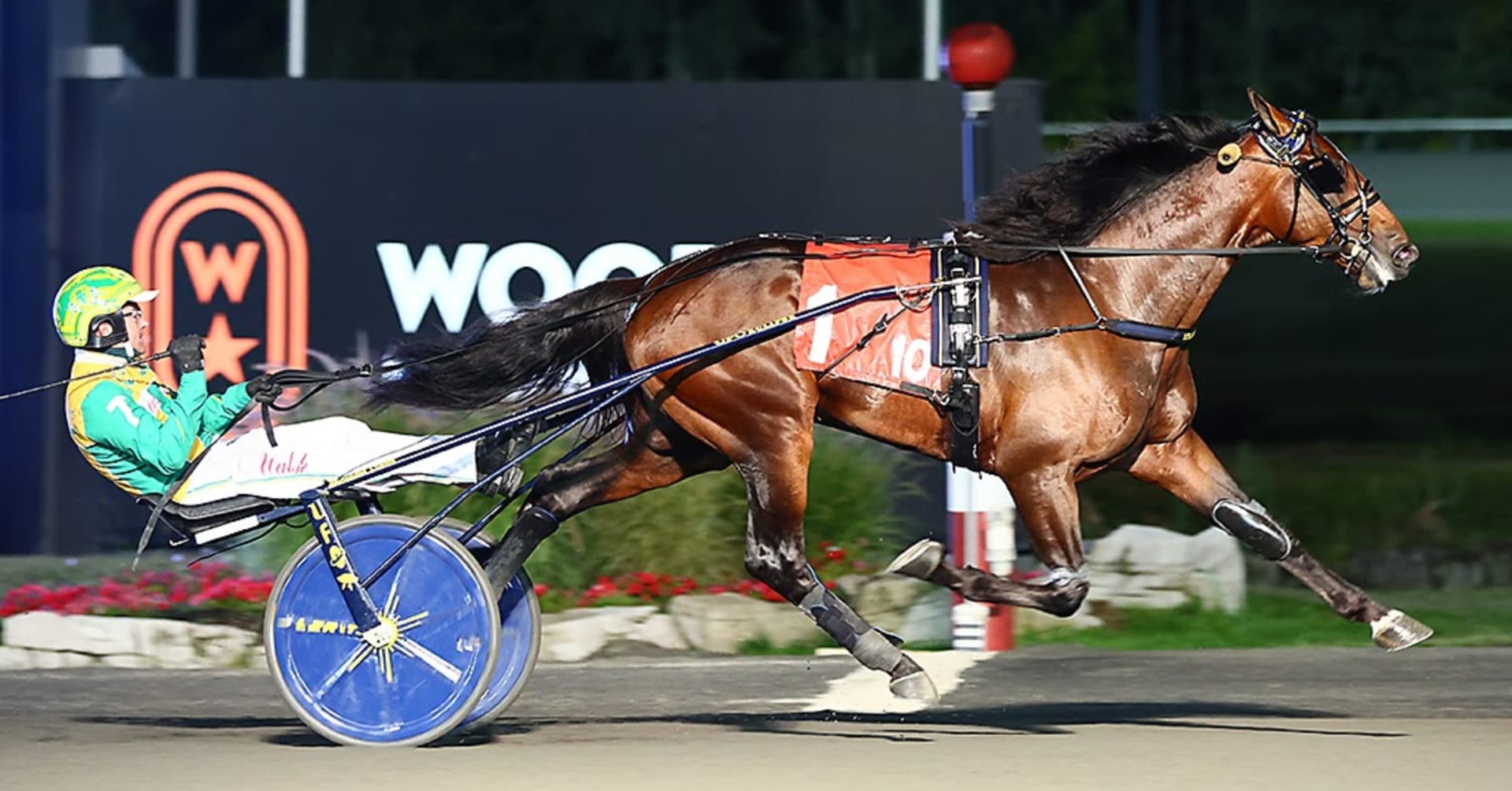 Oh Well till avel · Senaste nyheterna om trav · Travronden