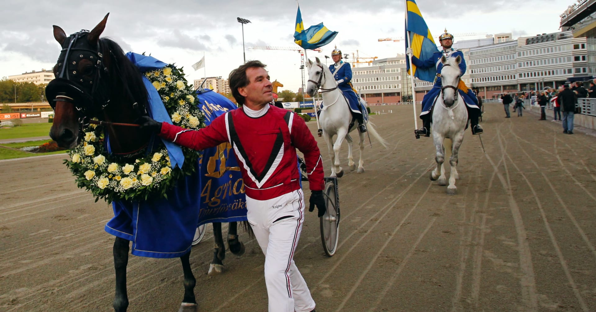 Raja Mirchi blir avelshingst i Danmark · Senaste nyheterna om trav ...