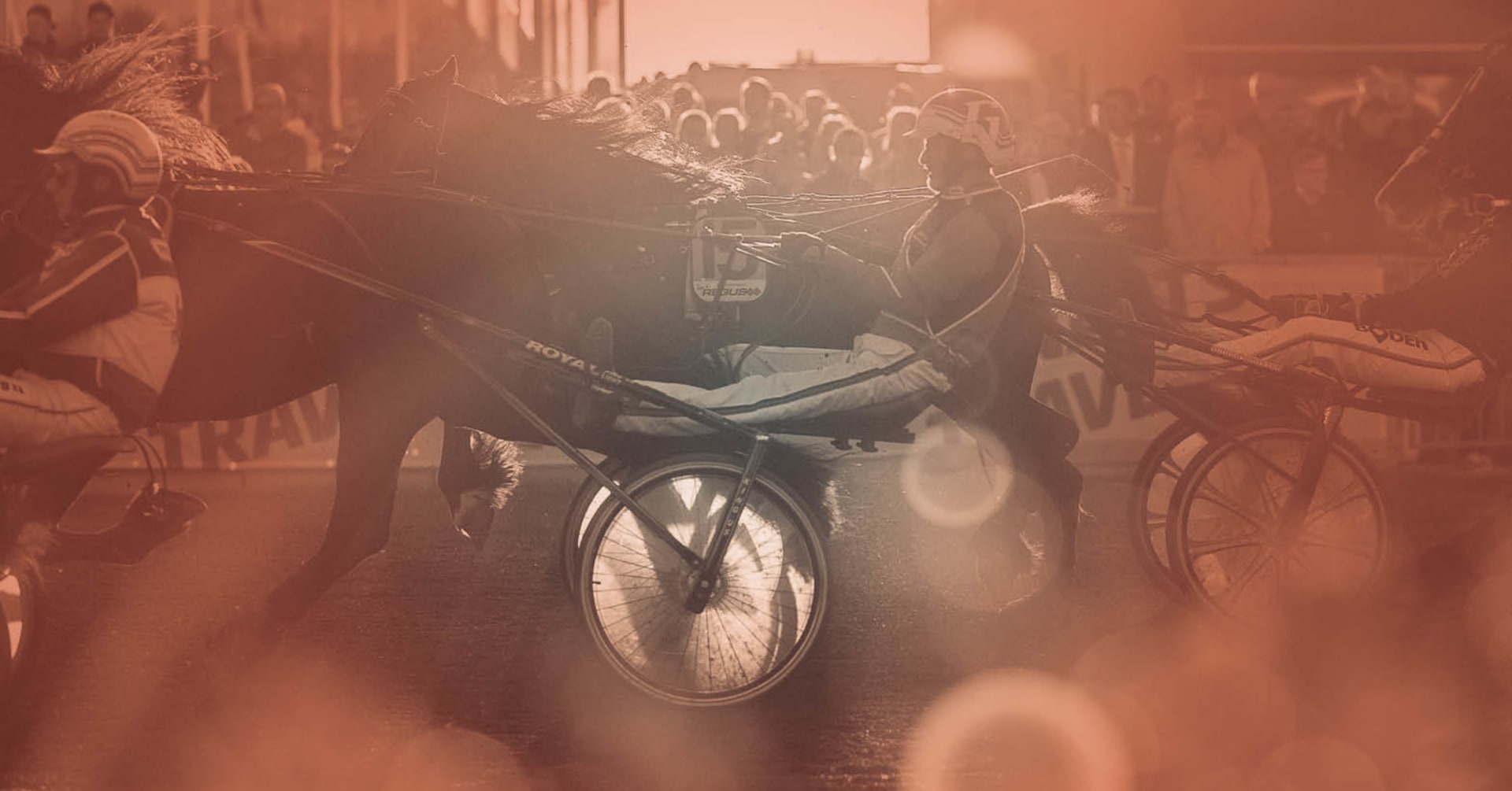 Koolman Bäck tog första segern i sjunde starten · Senaste nyheterna om ...