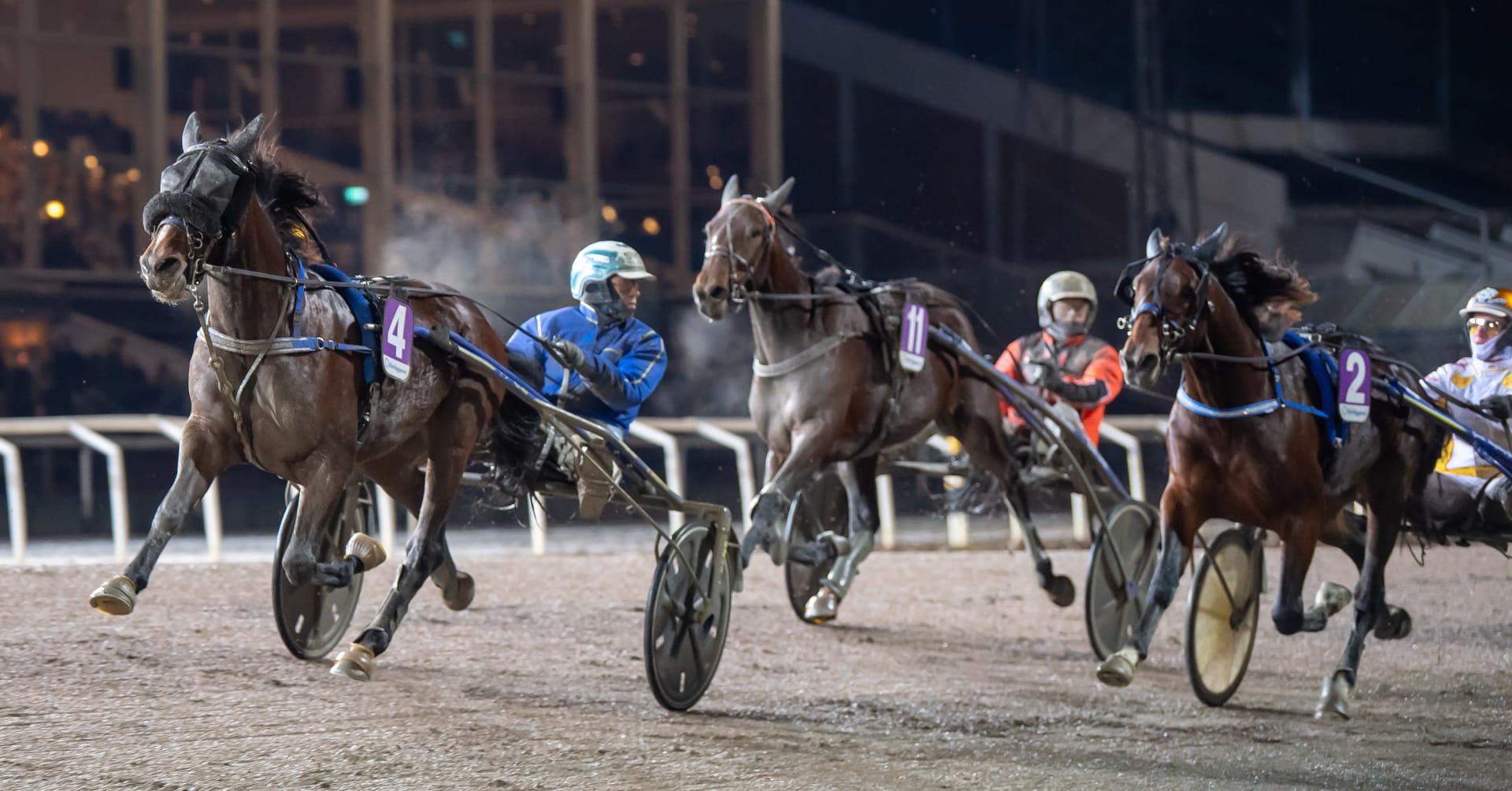 Treåringskollen 2025 med Erwin Bot: "Höga prispengar i Sverige ...