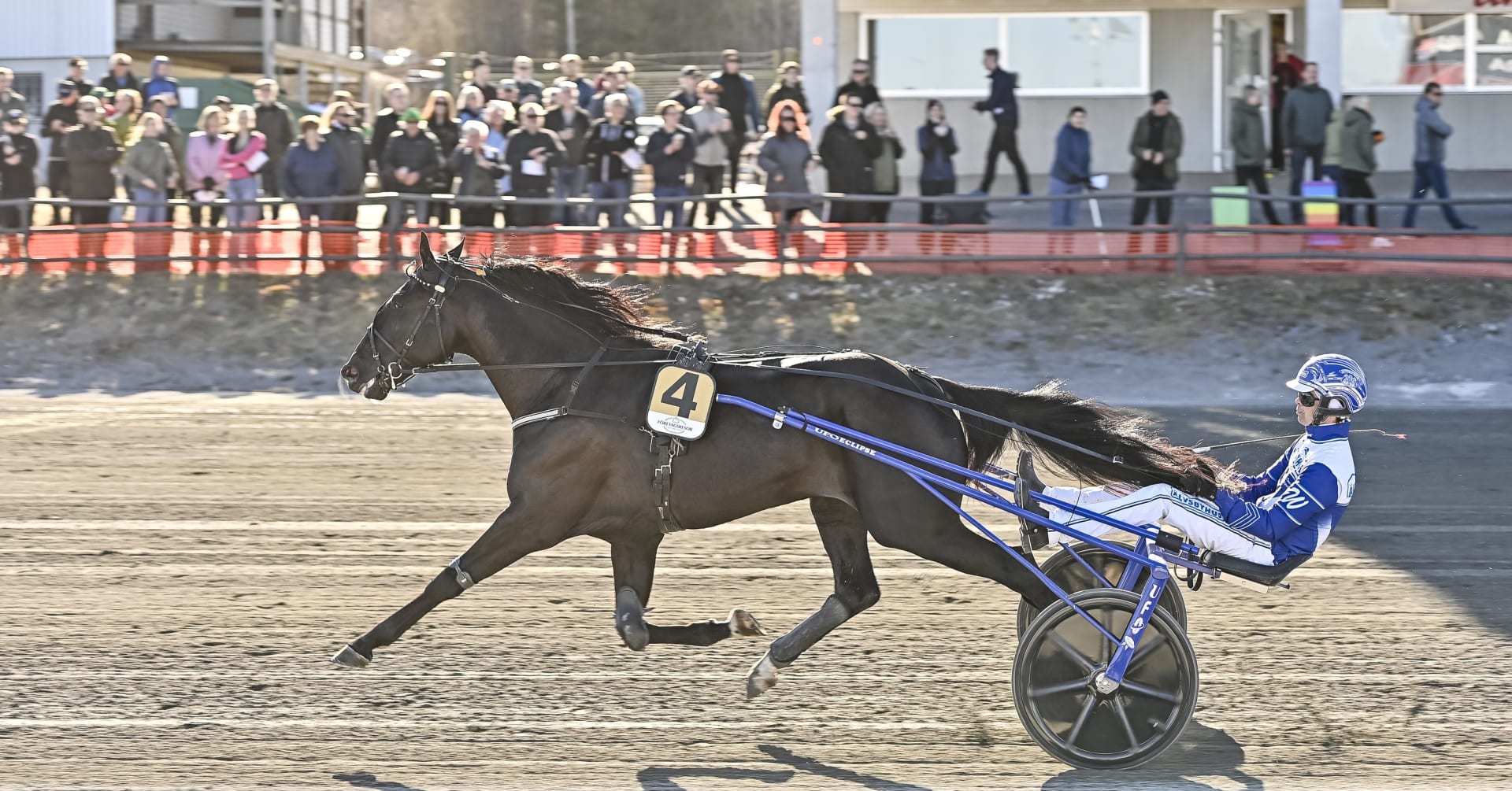Borups Victory vann Guldbjörken · Senaste nyheterna om trav · Travronden