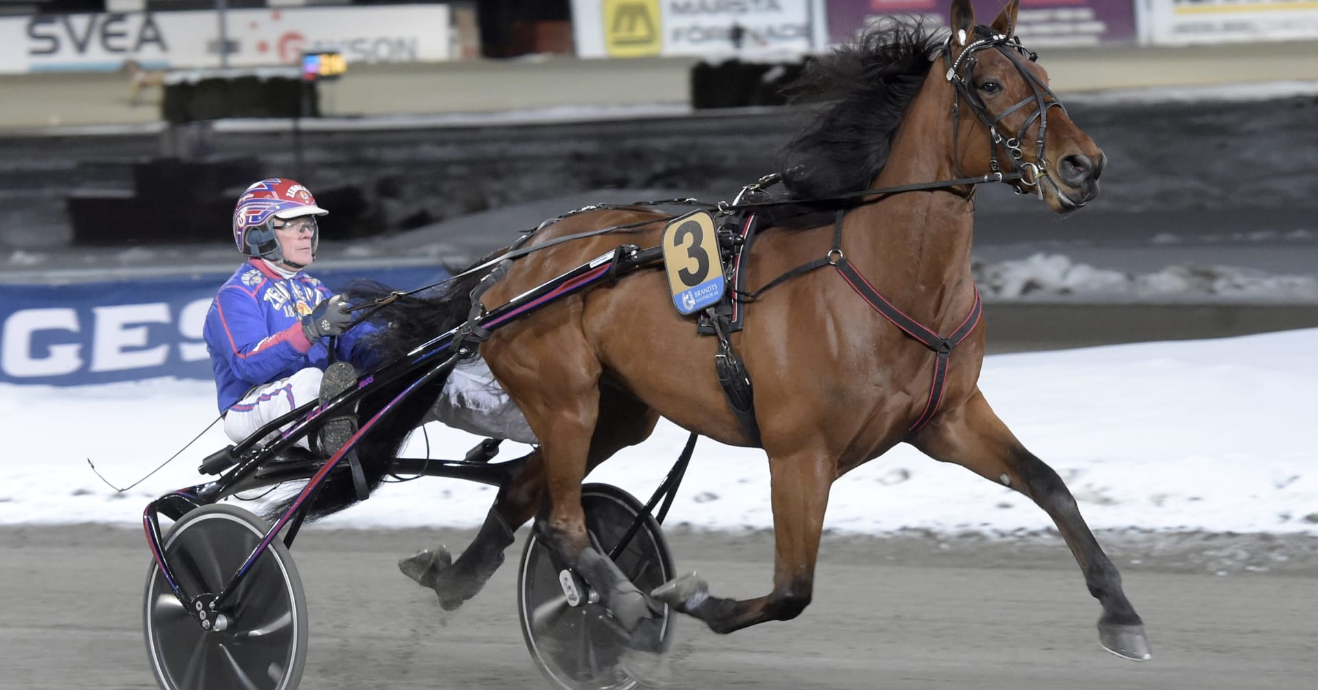 Sultan Norrgård skrällde i Eskilstuna · Senaste nyheterna om trav ...
