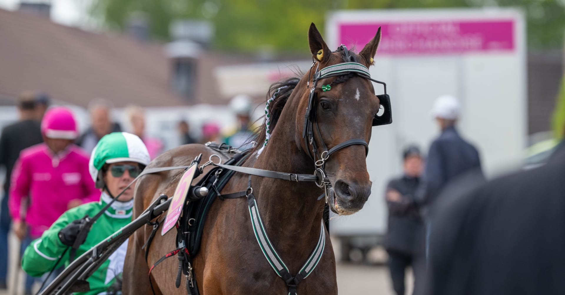 Hussard du Landret slutar som tävlingshäst · Senaste nyheterna om trav ...