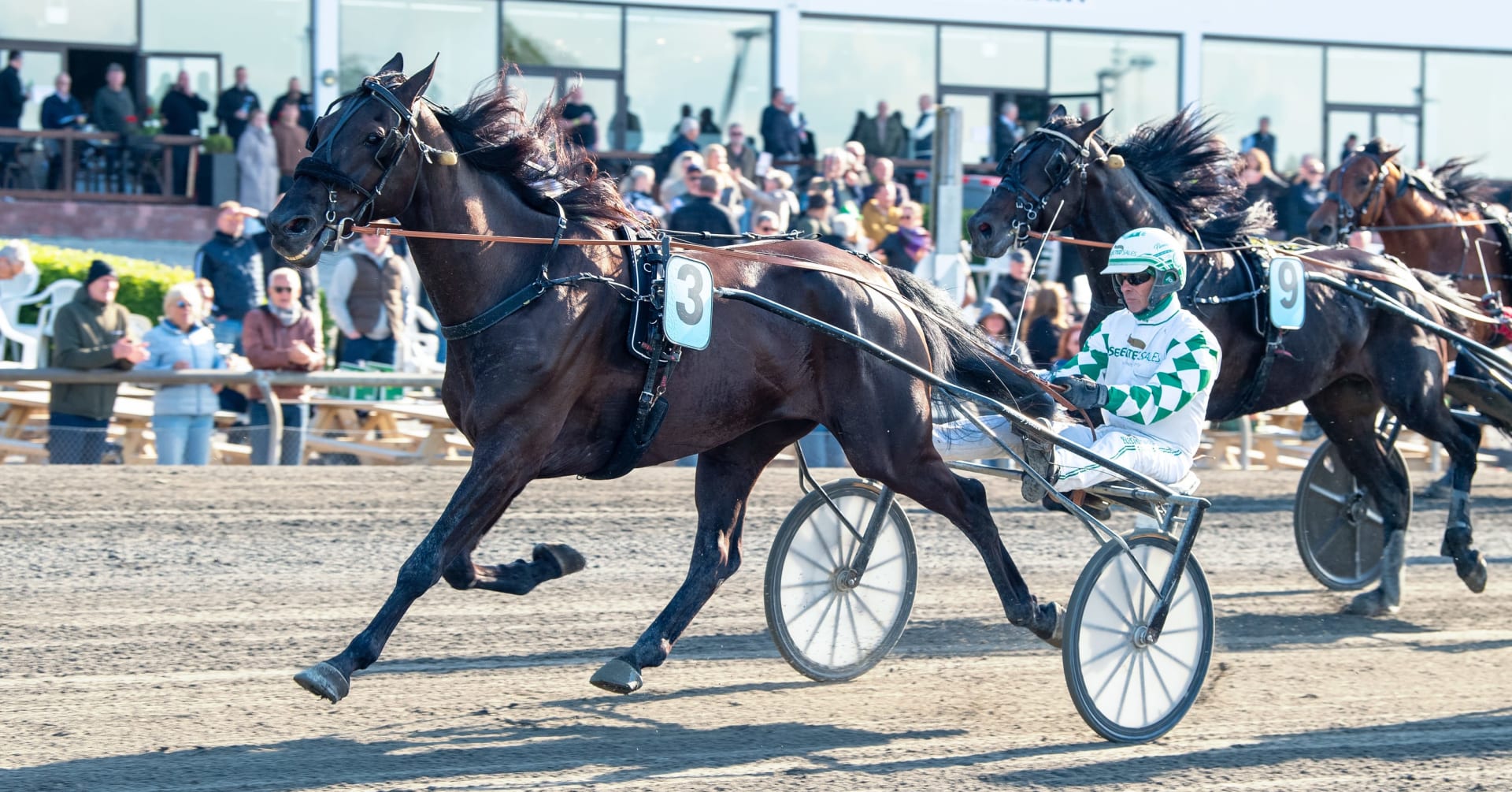 Hustle Rain till Åke Svanstedt · Senaste nyheterna om trav · Travronden