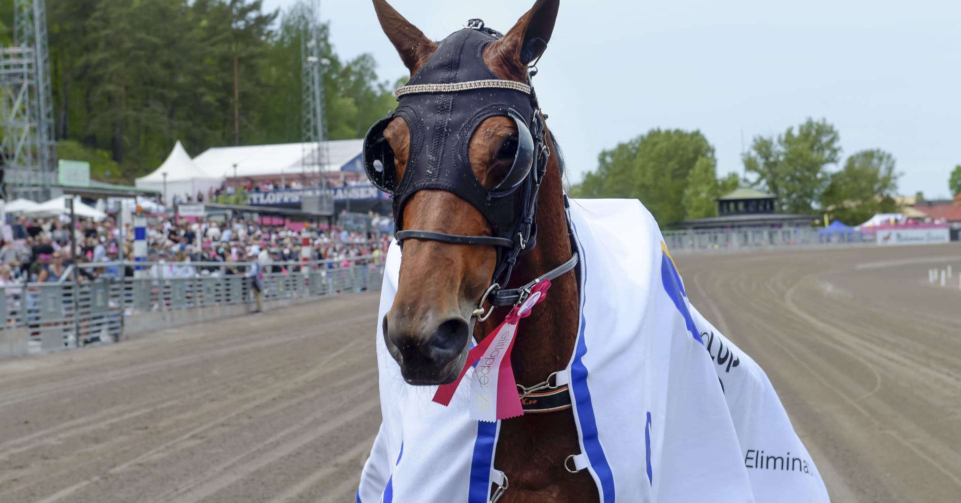 Spännande start på påsken för Wallin · Senaste nyheterna om trav ...