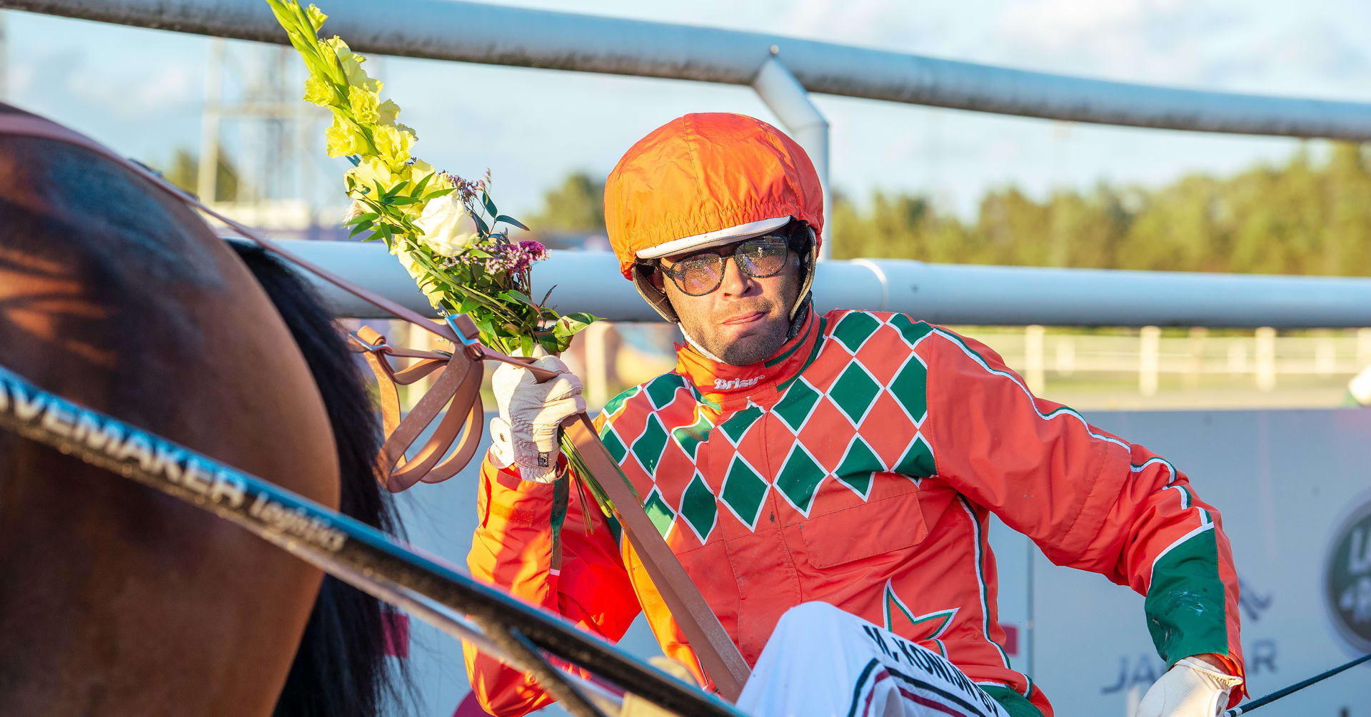 Michel F Rothengatter stryker två V75-hästar · Senaste nyheterna om ...