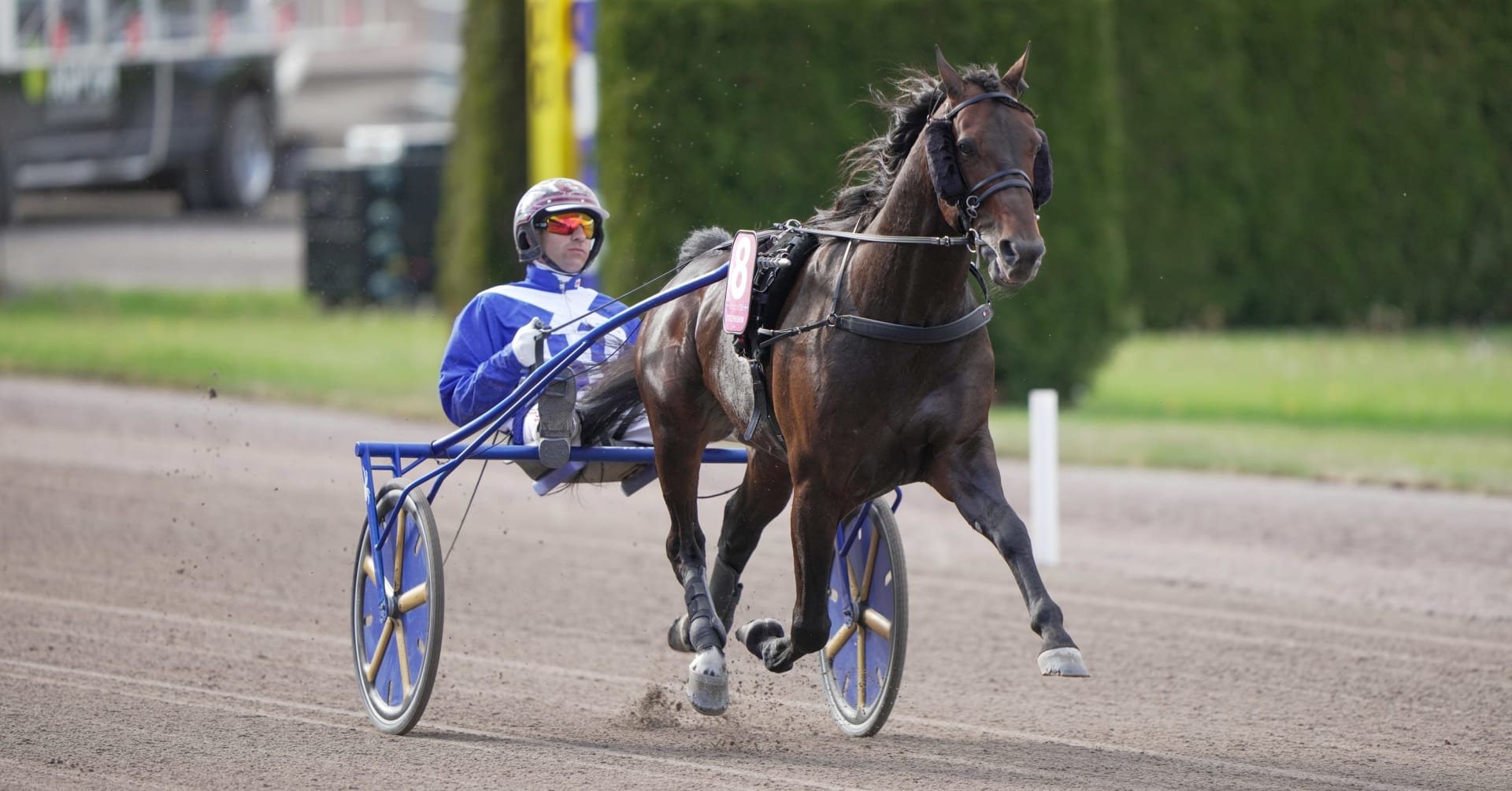 Stoletheshow startar inte i Elitloppet · Senaste nyheterna om trav ...