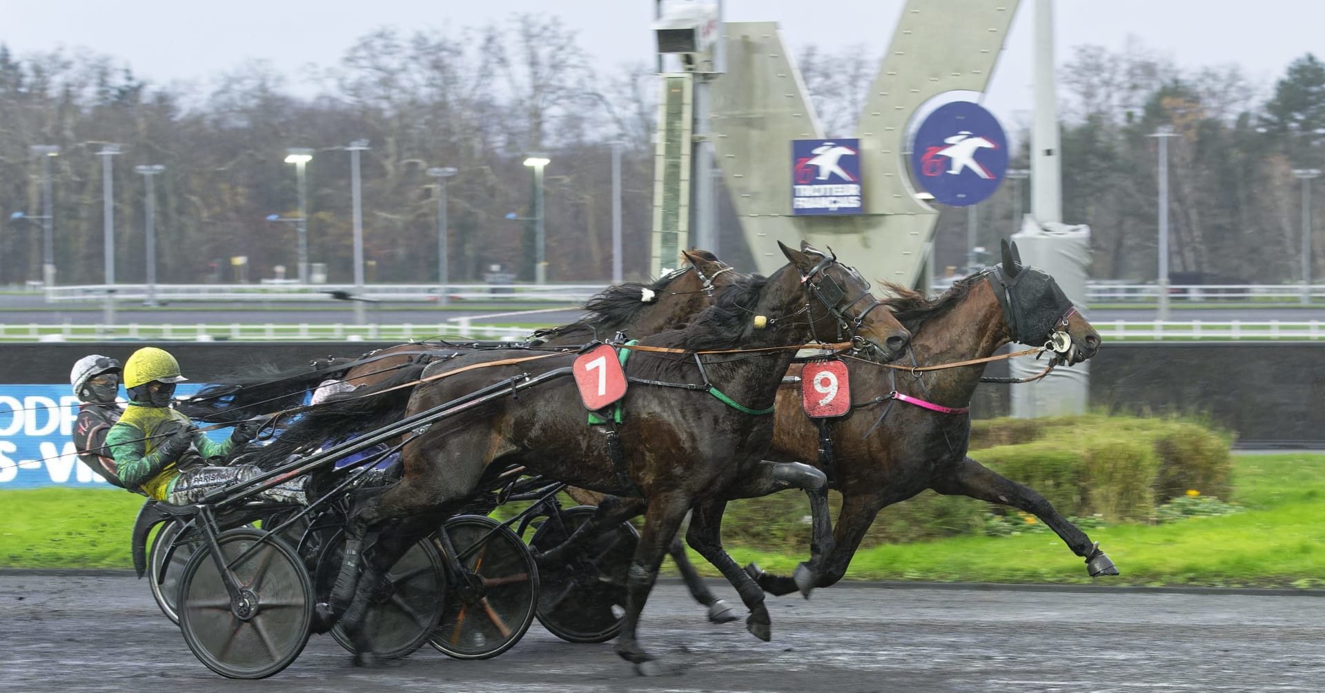 Efter positiva dopingprovet – Lovino Bello vann Prix Ready Cash · Senaste nyheterna om trav ...