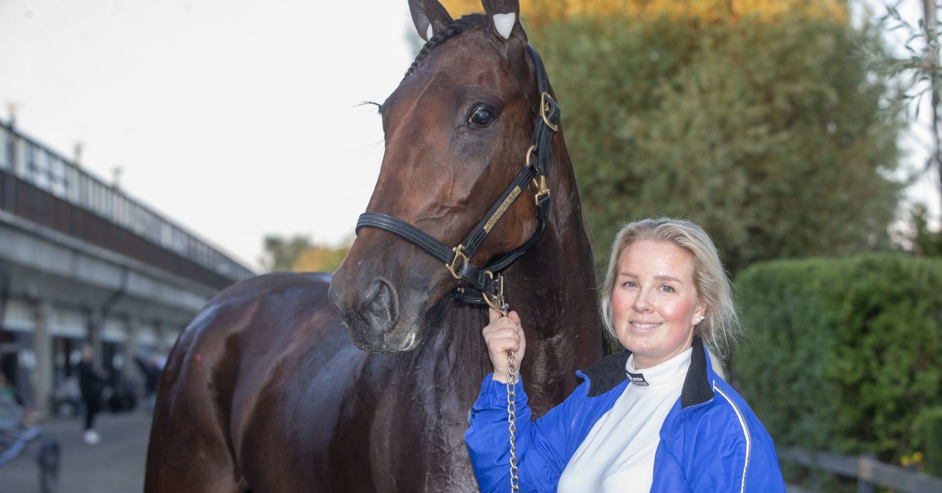 De tidlige tanker - Alt om V75