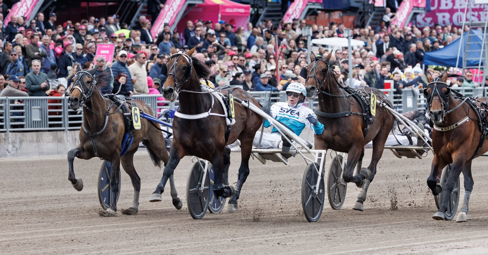 Avdelning 5 · V75 Rättvik 2:a augusti 2025 · Spelvärde