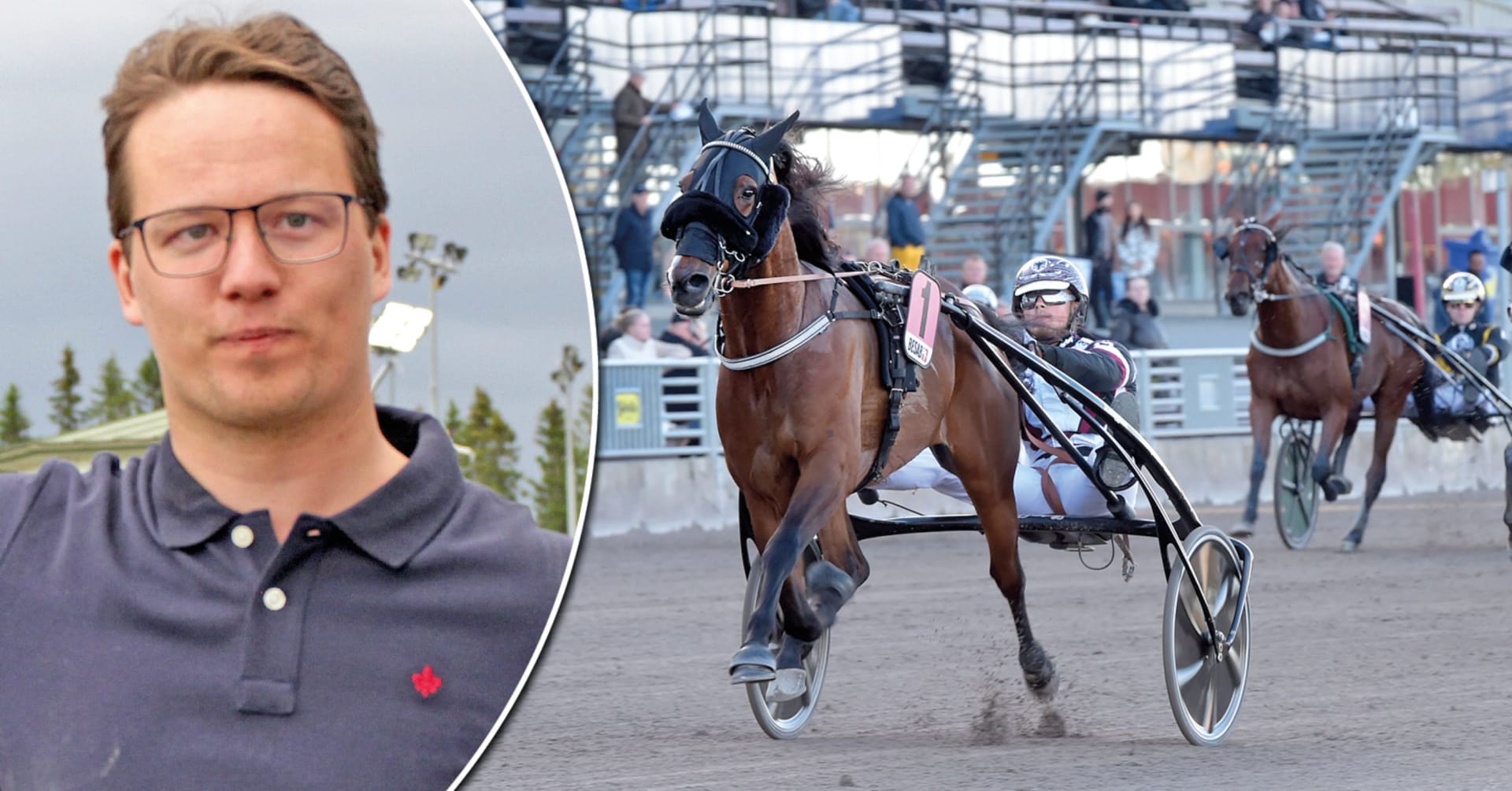 Hannibal Face till Oscar Berglund · Senaste nyheterna om trav · Travronden