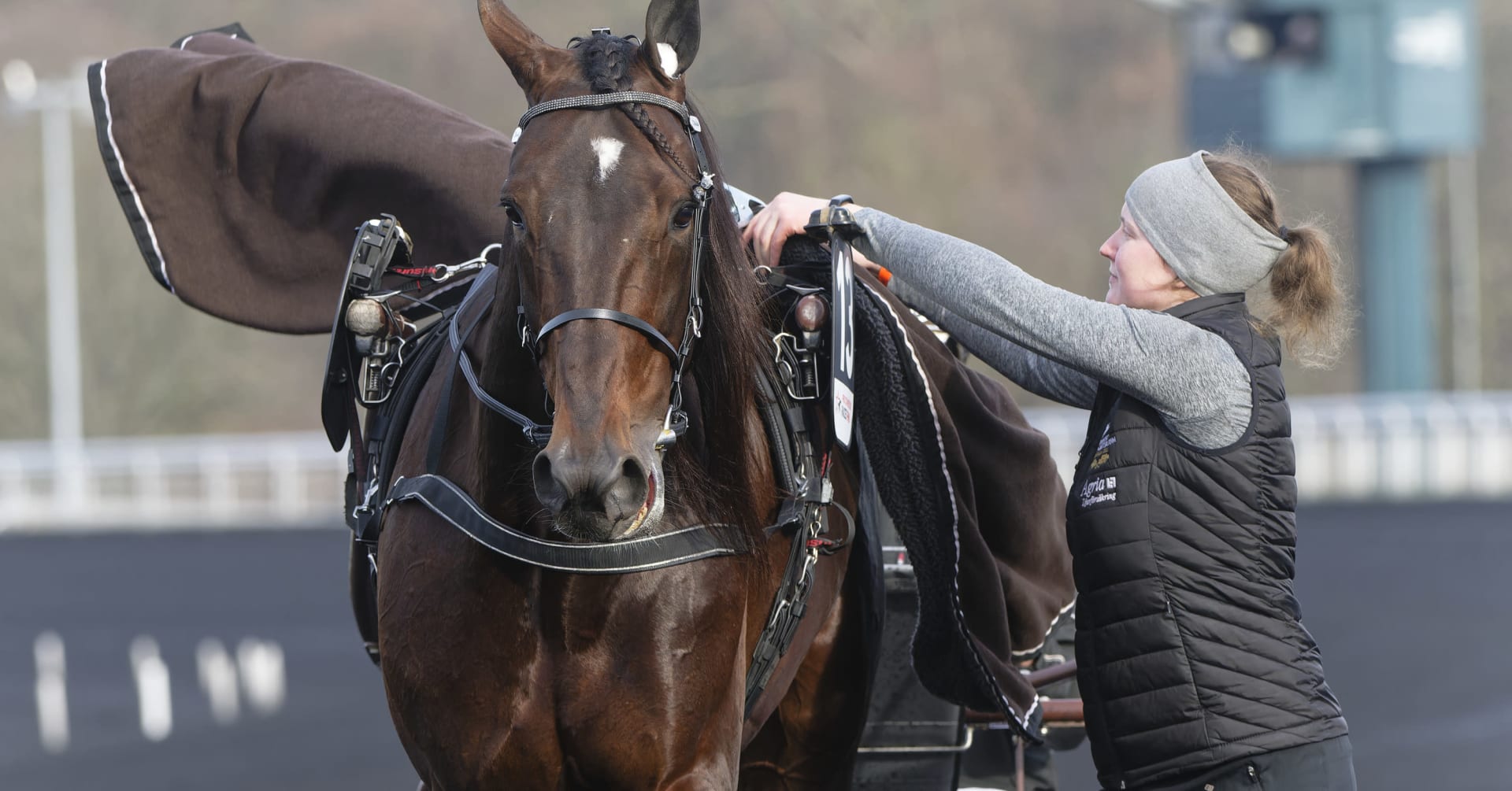 Hail Mary tillbaka i vinnarspåret · Senaste nyheterna om trav · Travronden