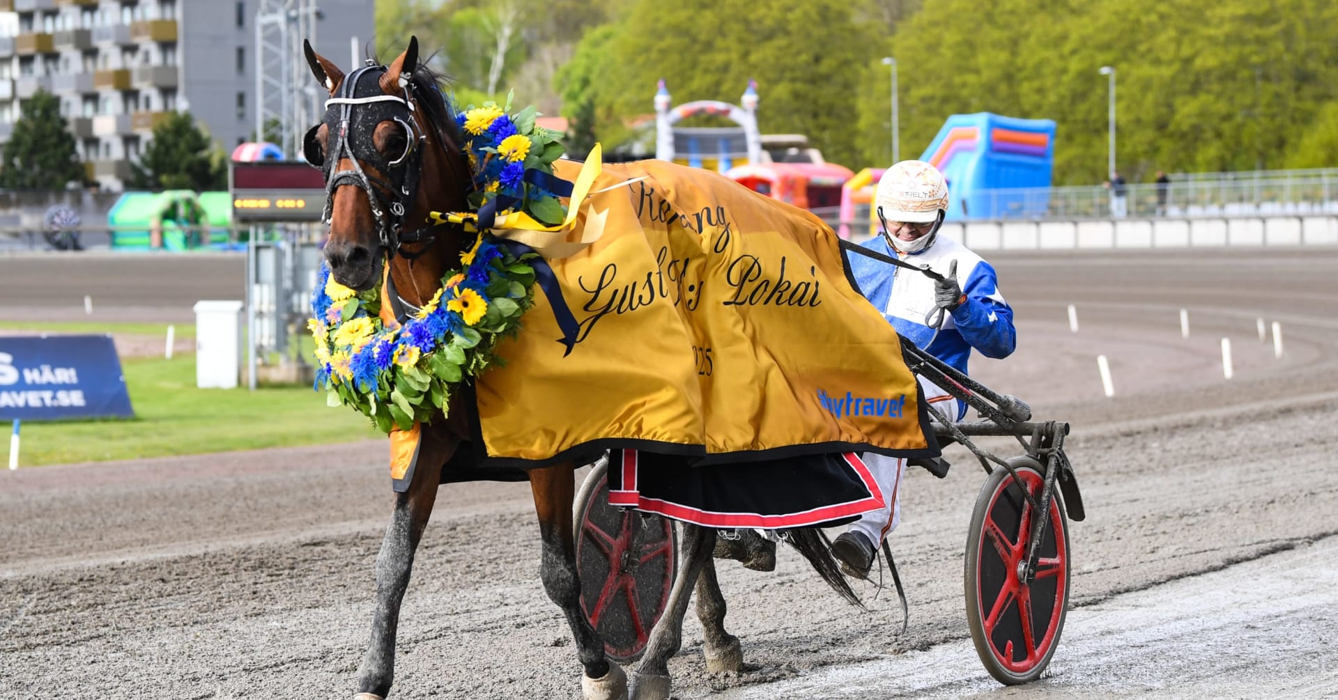 Sprintermästaren rakt igenom!