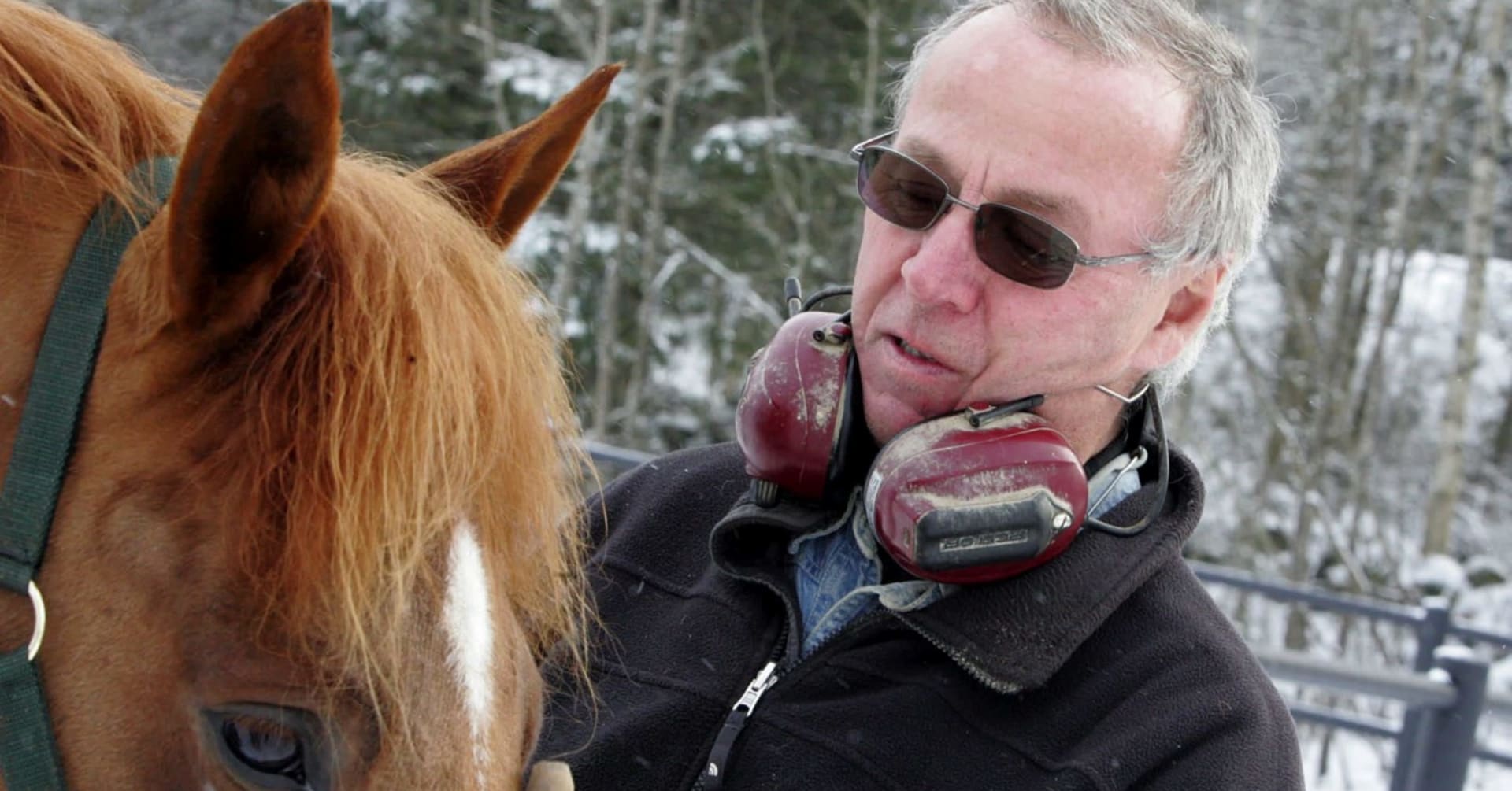 Olle Elfstrand får sitt eget lopp på Åby · Senaste nyheterna om trav ...