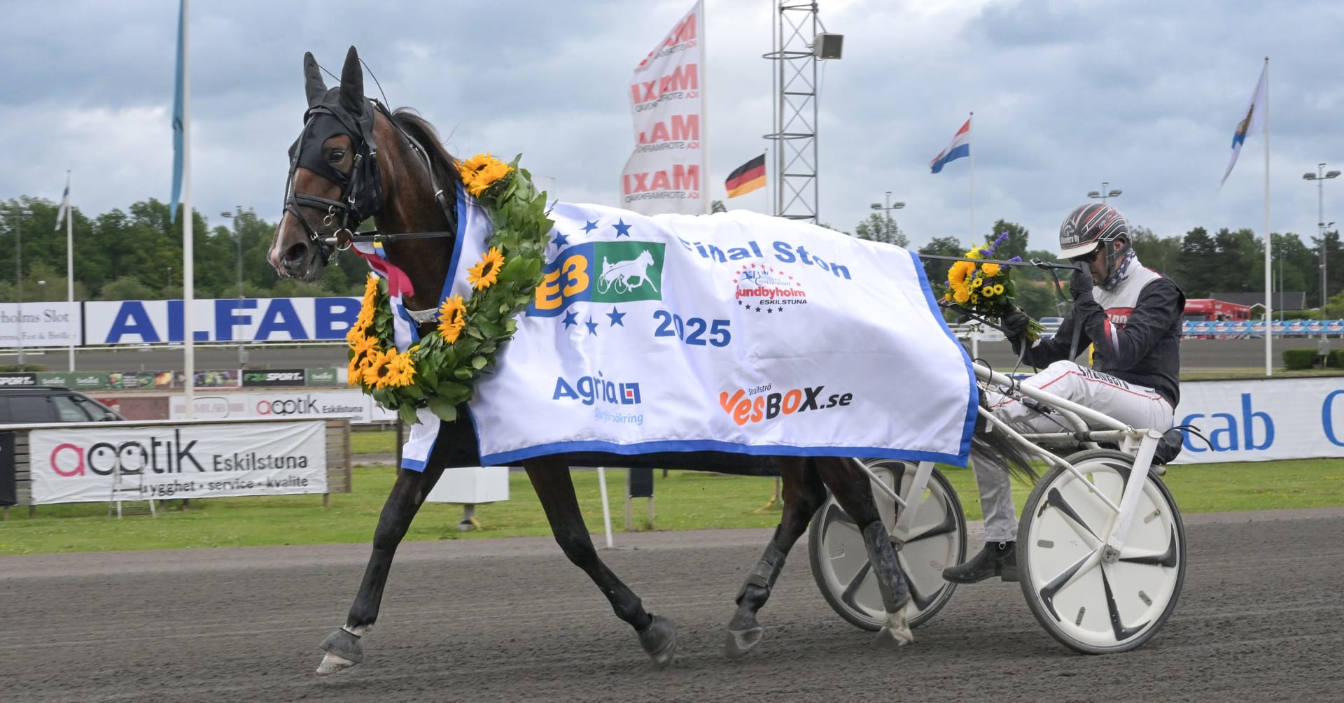 Kobra Brick infriade förväntningarna · Senaste nyheterna om trav ...