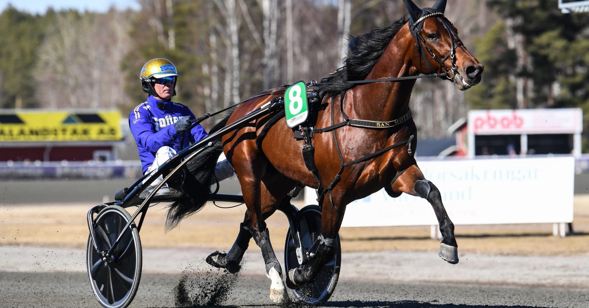 San Moteur missar deltävlingen på Jägersro · Senaste nyheterna om trav ...