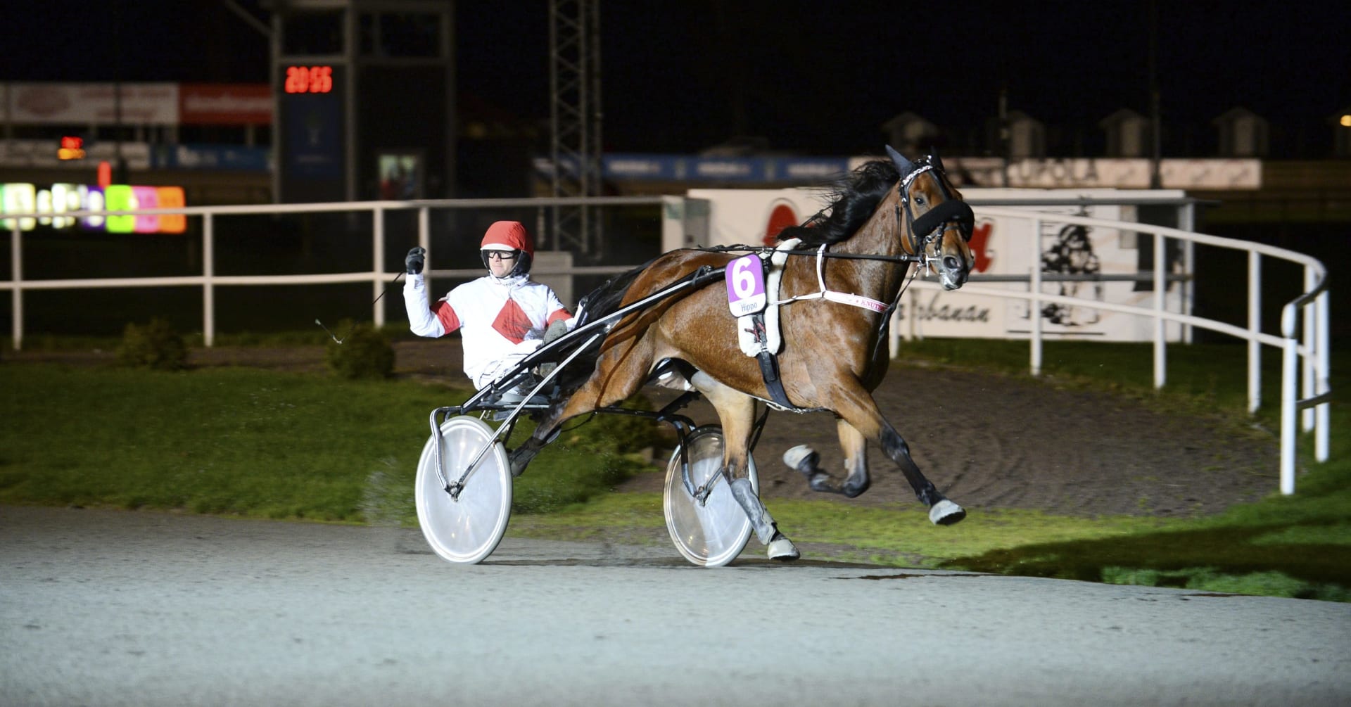 Felicity Shagwell har tävlat färdigt · Senaste nyheterna om trav ...