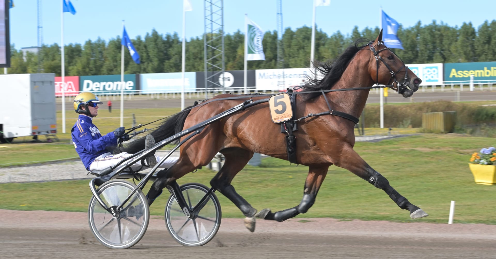 Fame and Glory till Broline · Senaste nyheterna om trav · Travronden