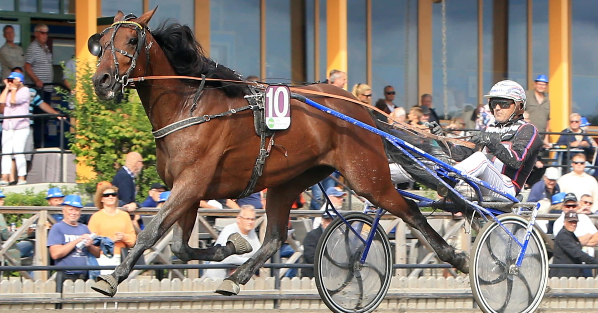 Ulf Ohlsson tror mest på Axel Ruda · Senaste nyheterna om trav · Travronden