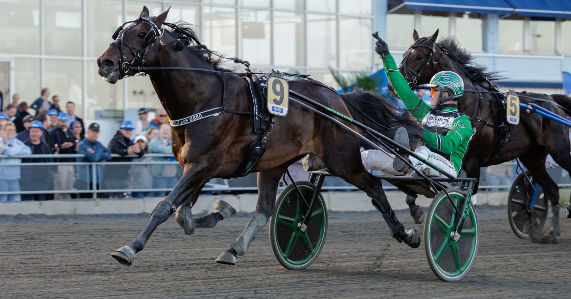 Working Class Hero klar för Prix de France · Senaste nyheterna om trav ...