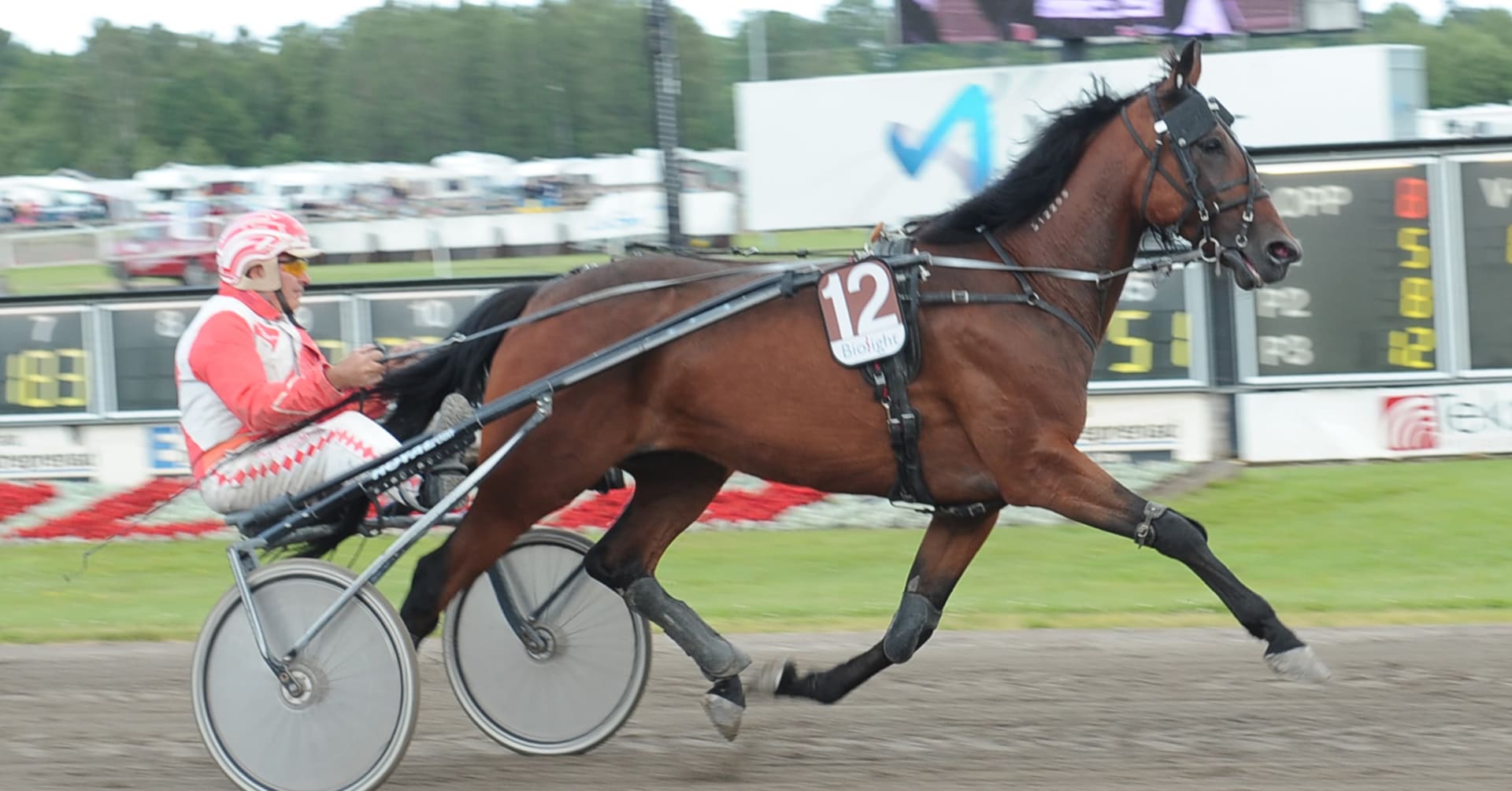 Per Fromell om ST-domen: "Varit slarvig" · Senaste nyheterna om trav ...