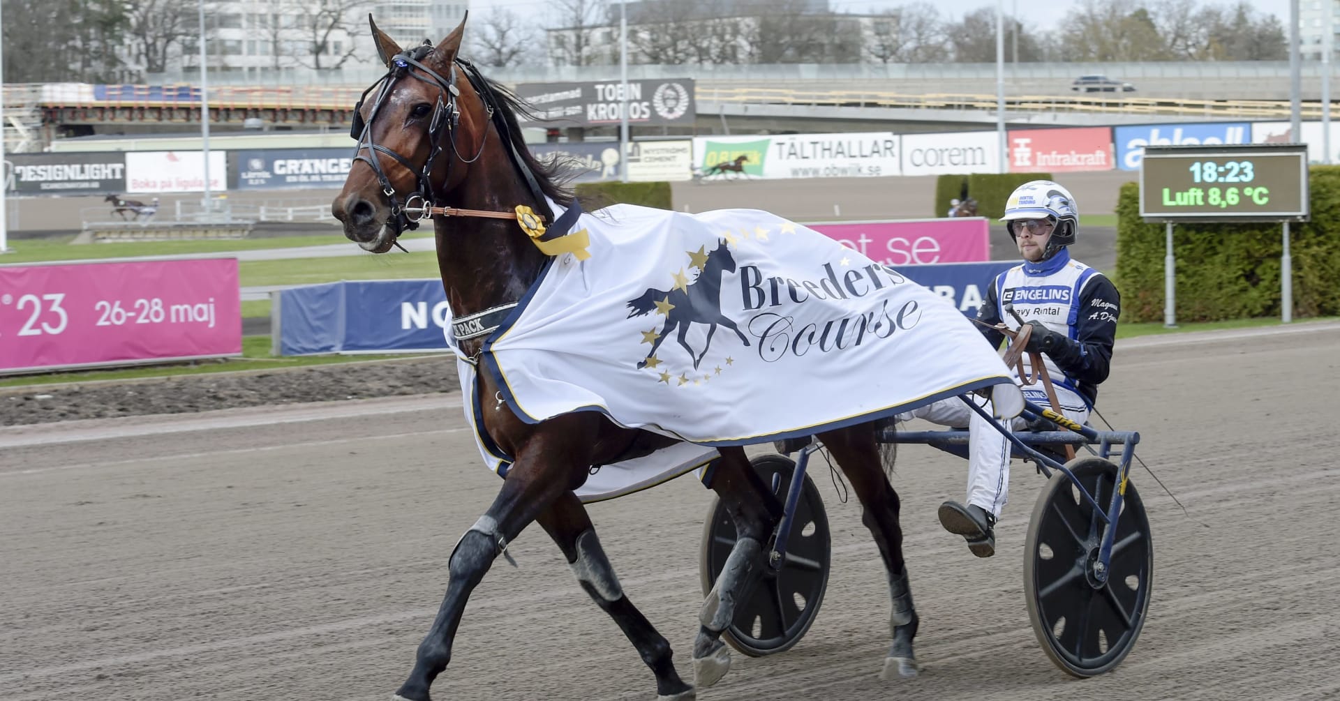 Oscar Berglund-tränade Ice Pack mot miljonlopp · Senaste nyheterna om trav · Travronden