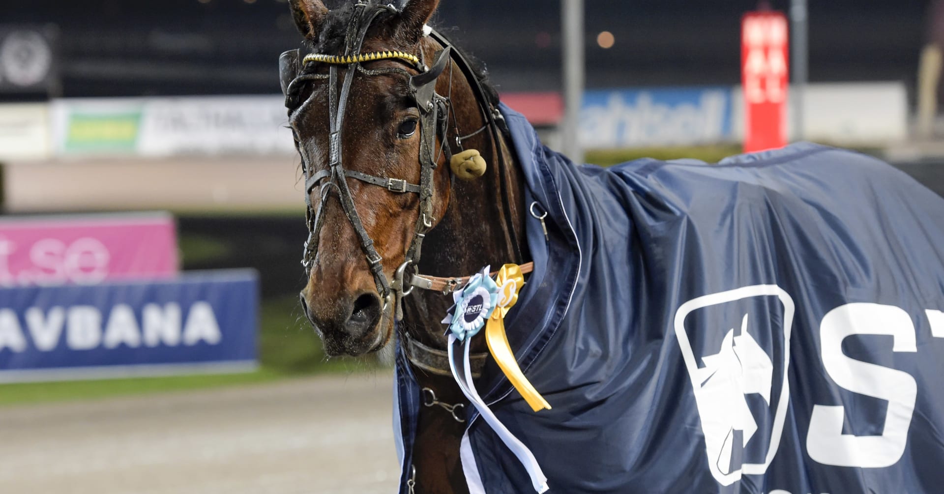 Axel Rudas sista silverförsök? · Senaste nyheterna om trav · Travronden