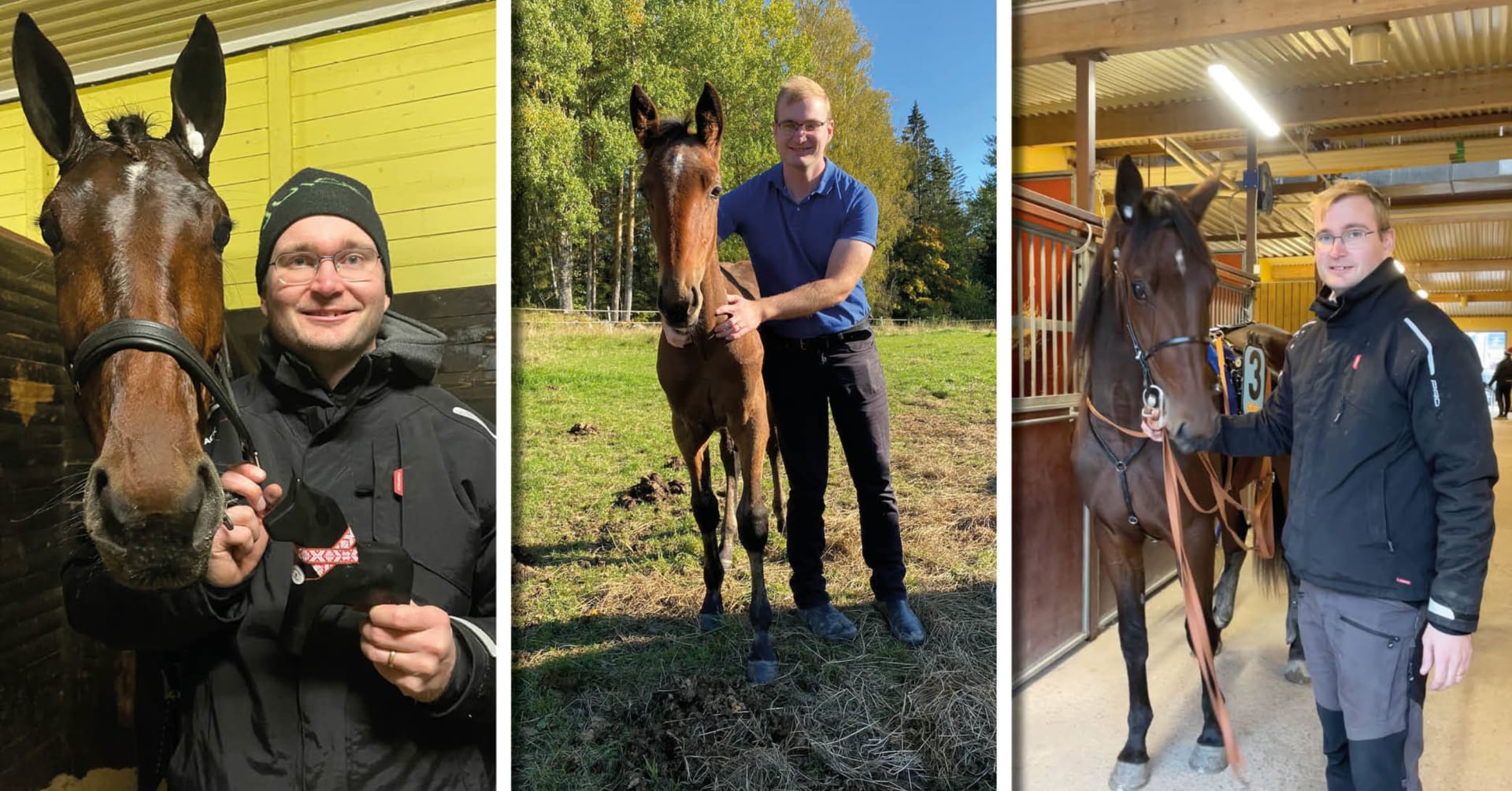 Patrick Nord och Top Dog debuterar på V75 · Senaste nyheterna om trav ...