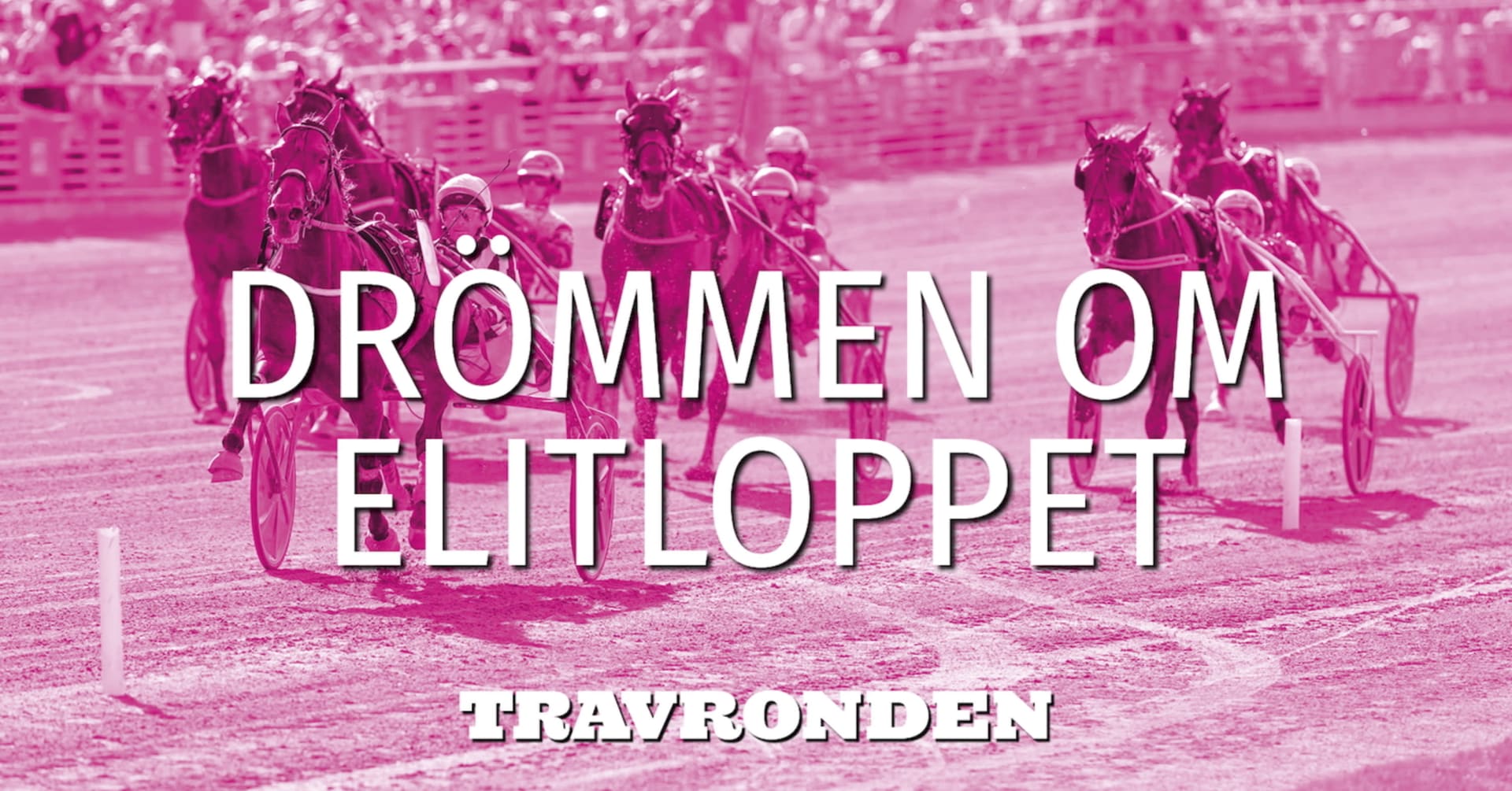 Drömmen om Elitloppet 2025: Vi träffar långväga gästen Brad Hewitt · Senaste nyheterna om trav ...