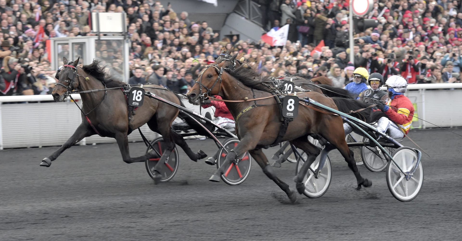 Dagen då Readly Express vann Prix d'Amérique · Senaste nyheterna om ...