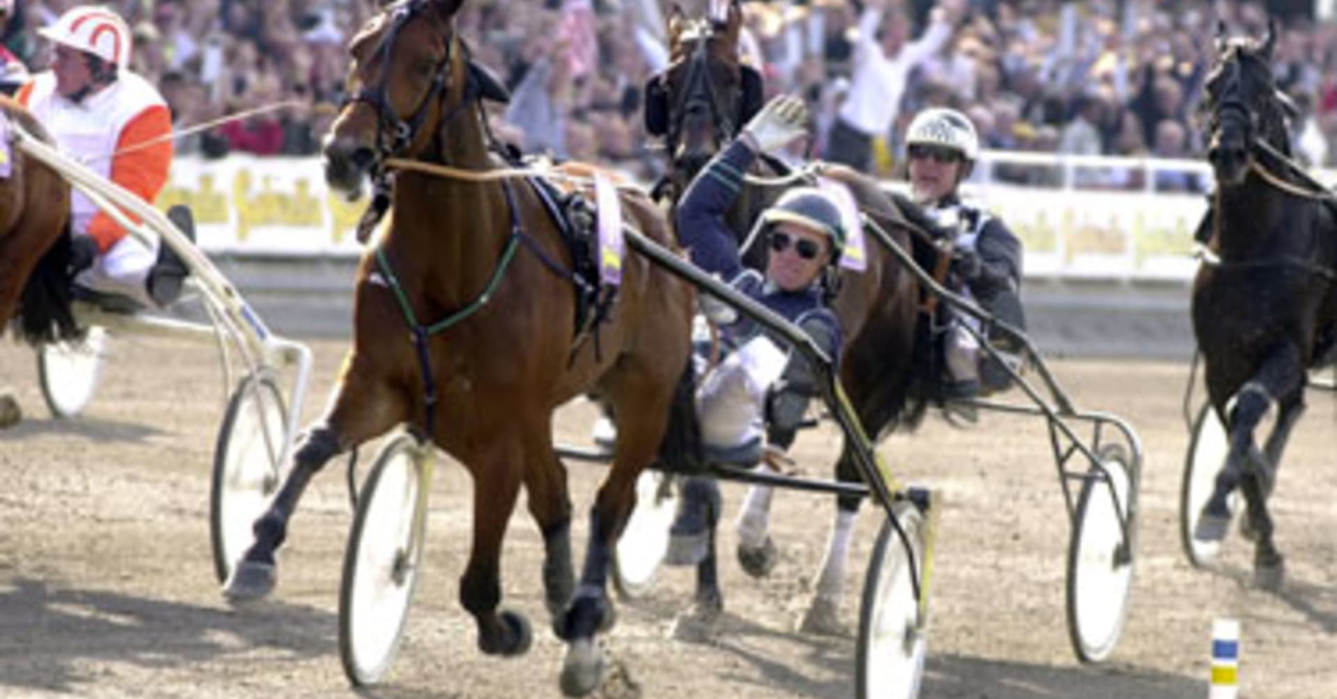 Victory Tilly har gjort sin sista start · Senaste nyheterna om trav ...