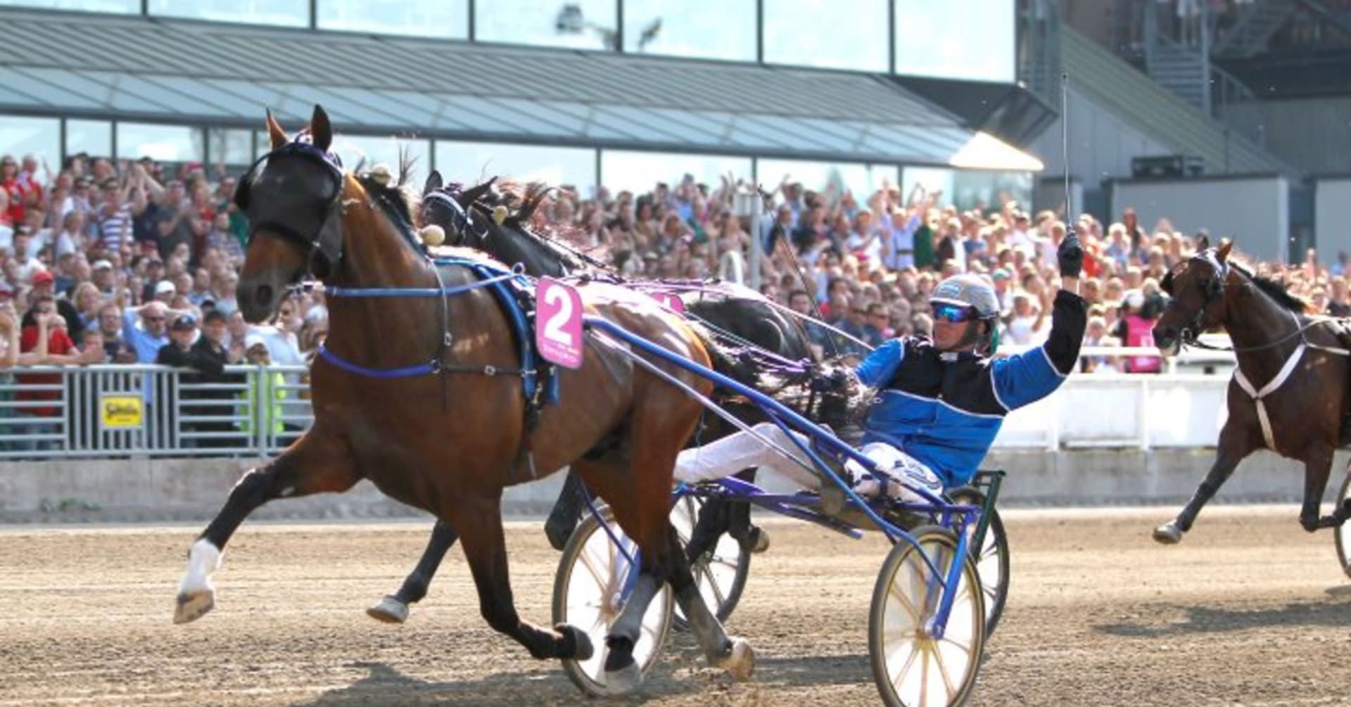 Timoko bäst i Europa · Senaste nyheterna om trav · Travronden