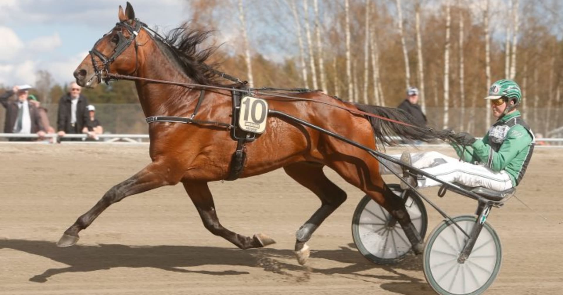 Ny häst klar för Prins Daniels lopp · Senaste nyheterna om trav ...