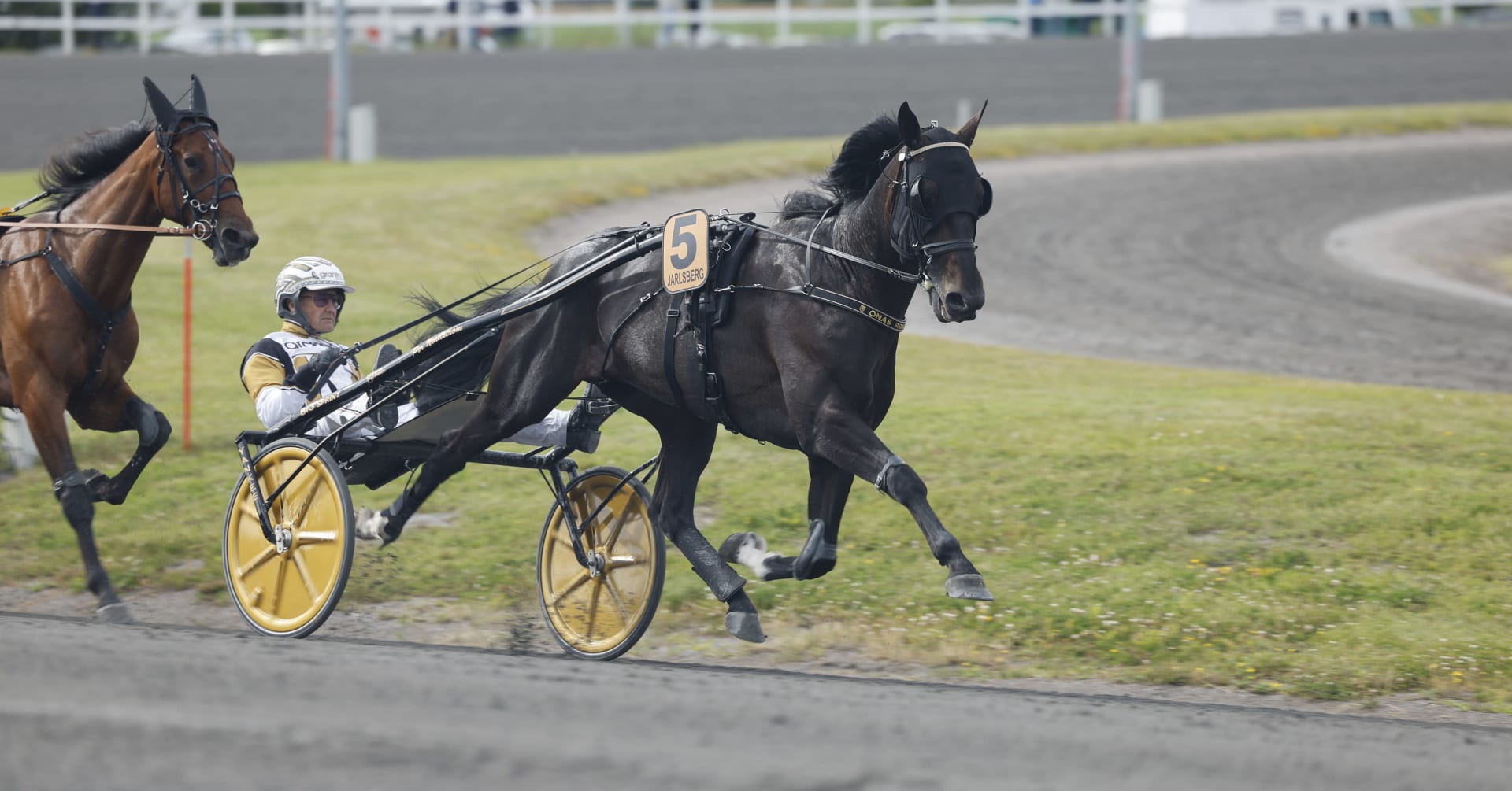 V75 Halmstad 28:e december 2024 · Spelvärde