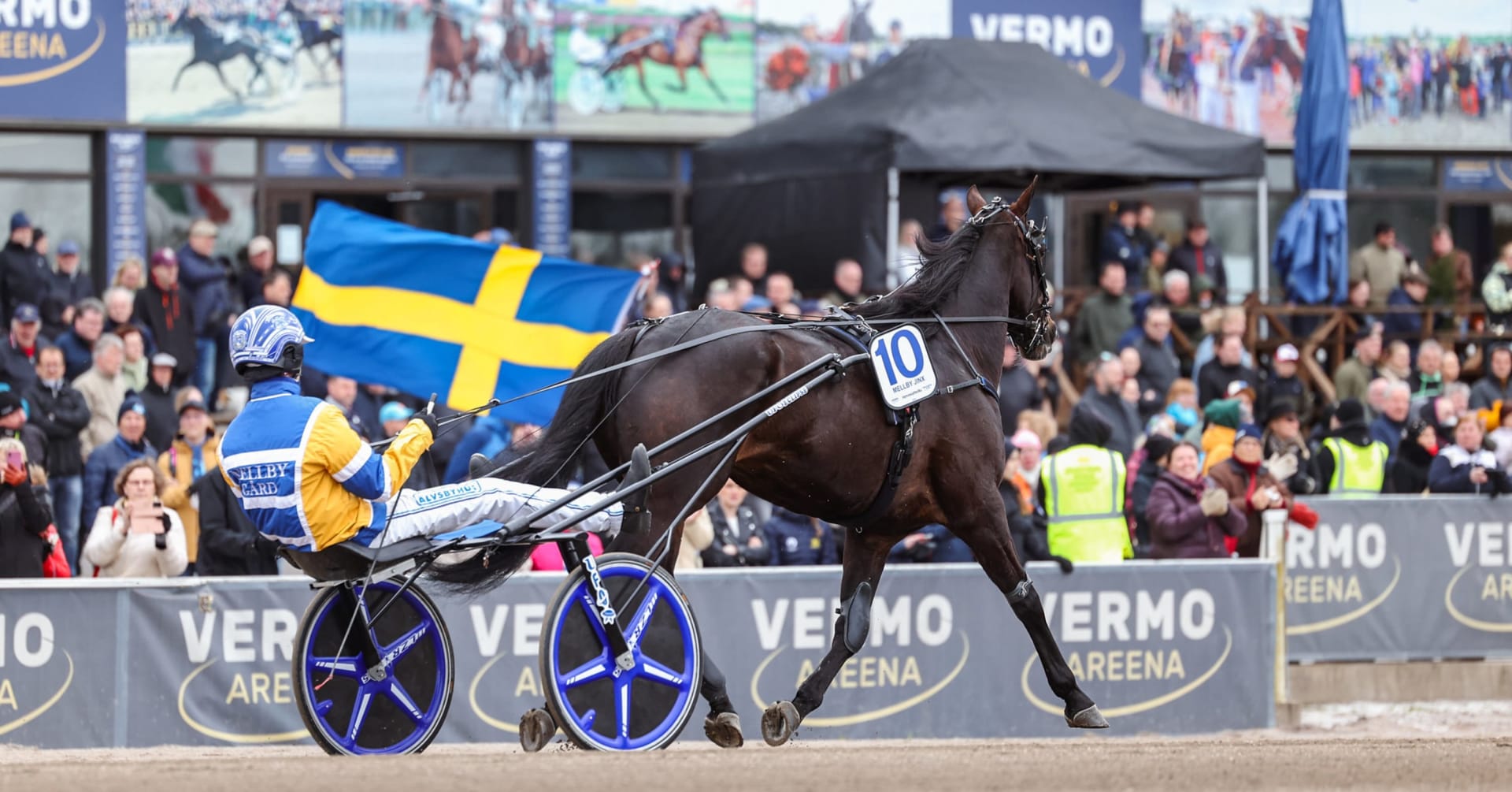 Wäjerstens hemliga vinterplan – matchade Mellby Jinx till Elitloppet · Senaste nyheterna om trav ...