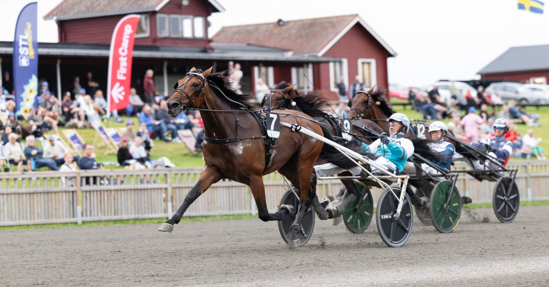 Tamacti Jun struken på V75 · Senaste nyheterna om trav · Travronden