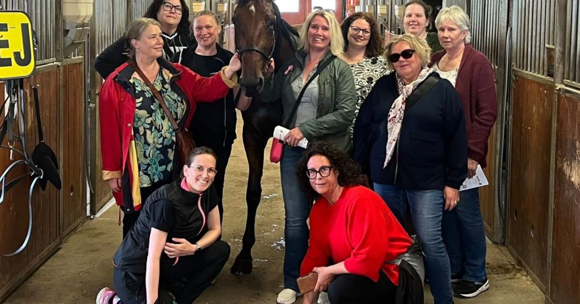 Dags för debut för tjejhästen Ruth Dyna Mite: "Oerhört spännande ...