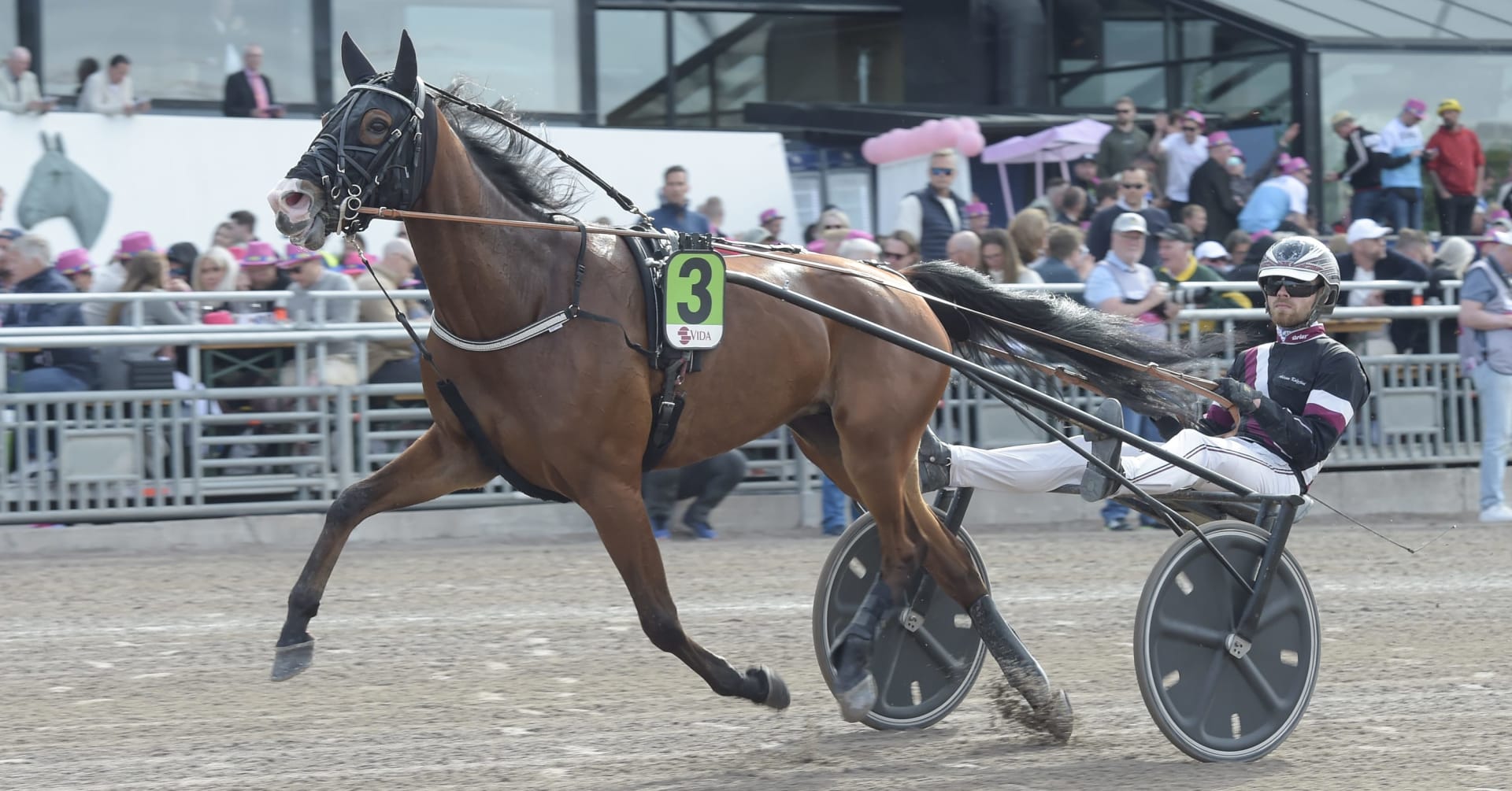 Svenskfödde Ultion Face i finallopp på Yonkers · Senaste nyheterna om ...
