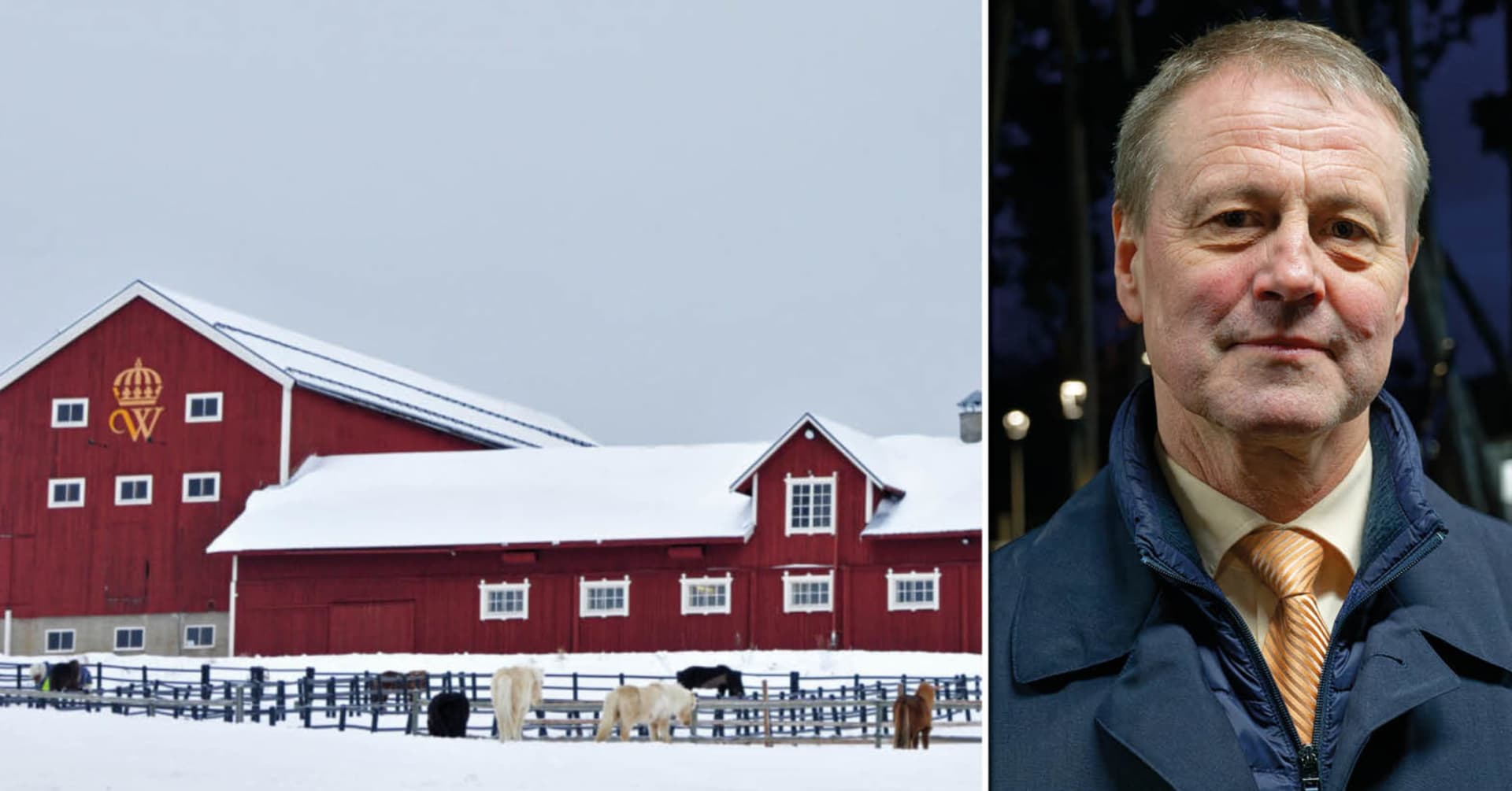 Jan Halberg slutar på Wången · Senaste nyheterna om trav · Travronden