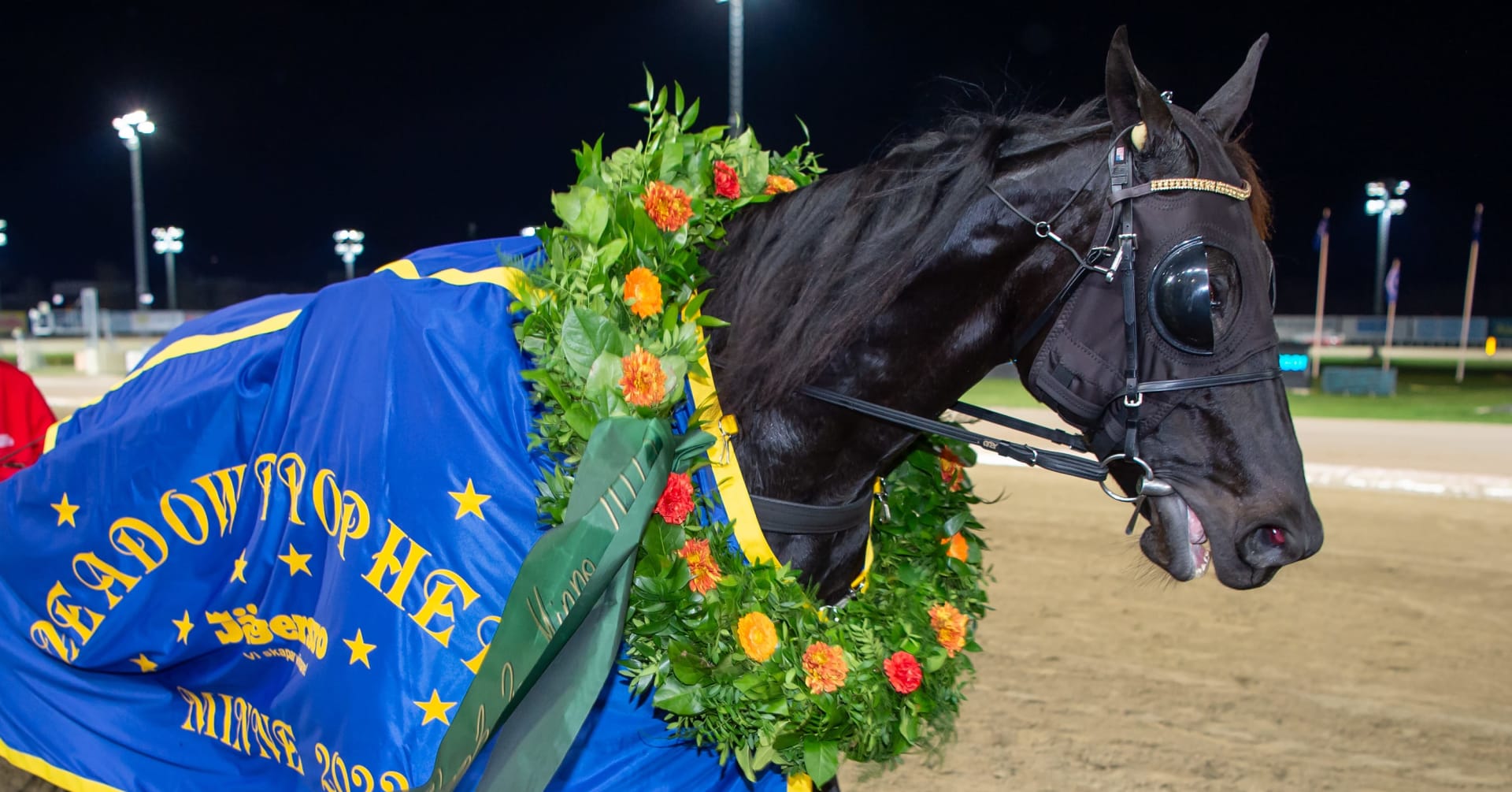 De tidlige V75 tanker! - Alt om V75